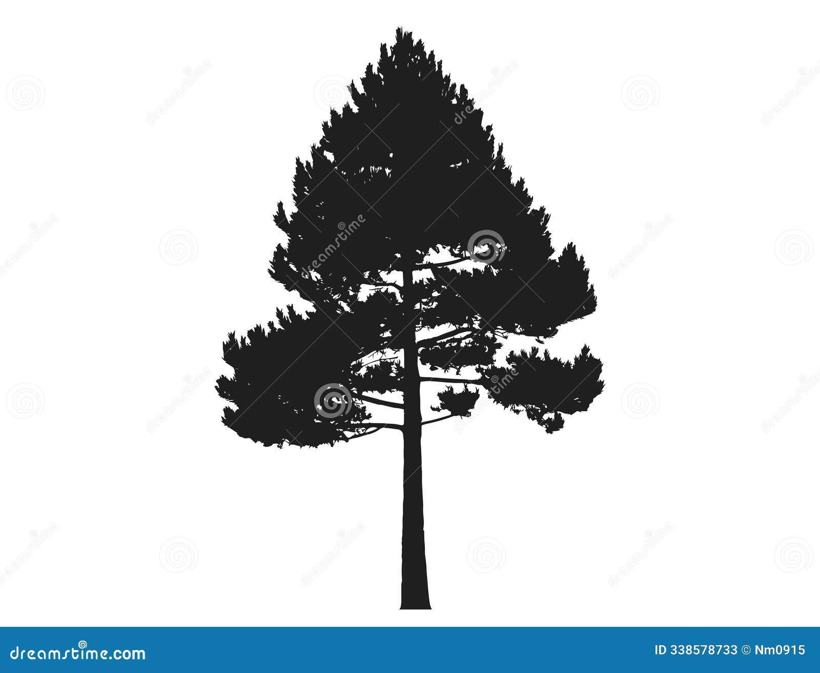 Pine Tree Silhouette. Flora and Nature Design Element. Conifer Vector ...