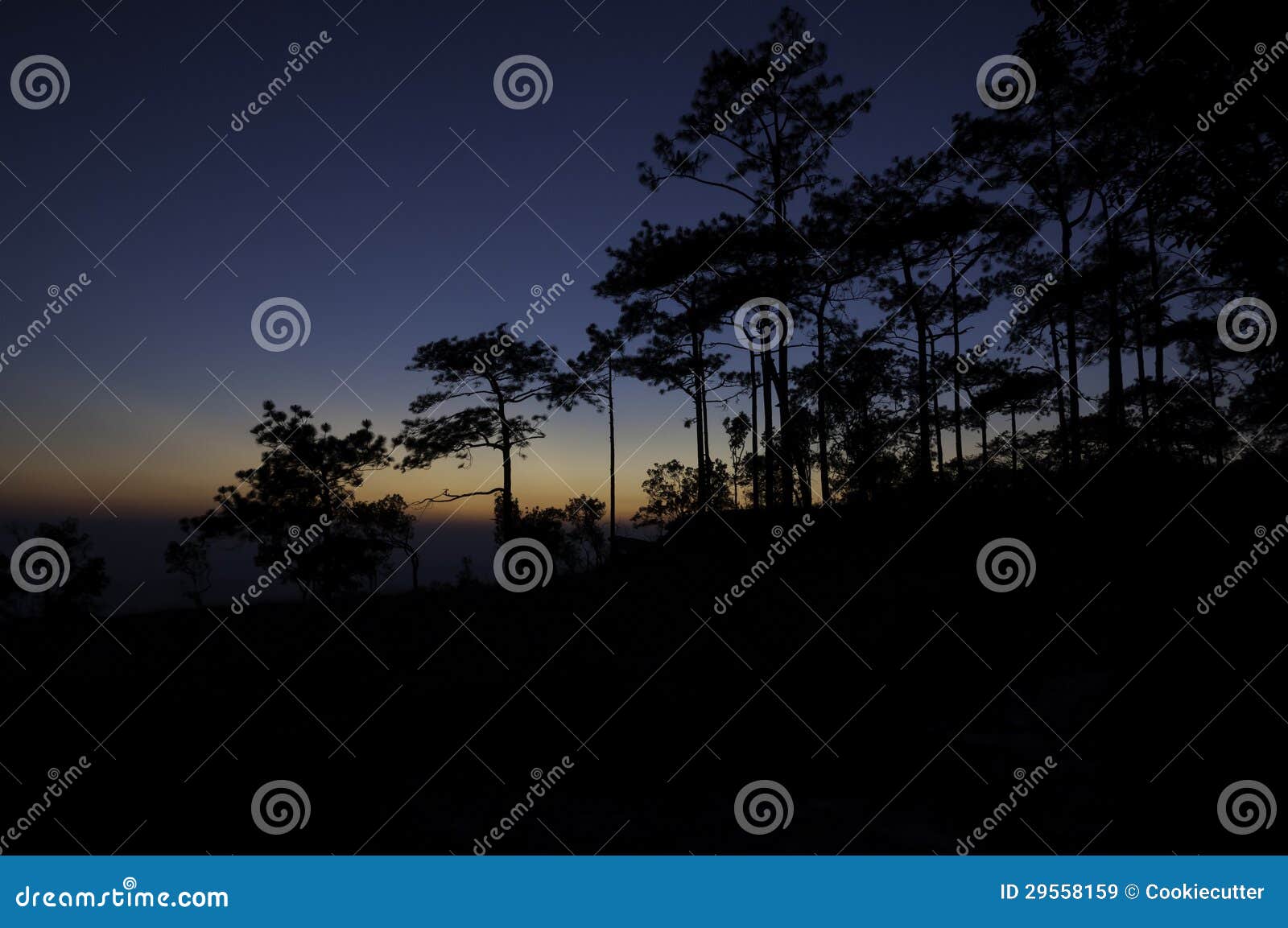 Pine Tree Silhouette on Mountain Sunset Stock Image - Image of sunny ...