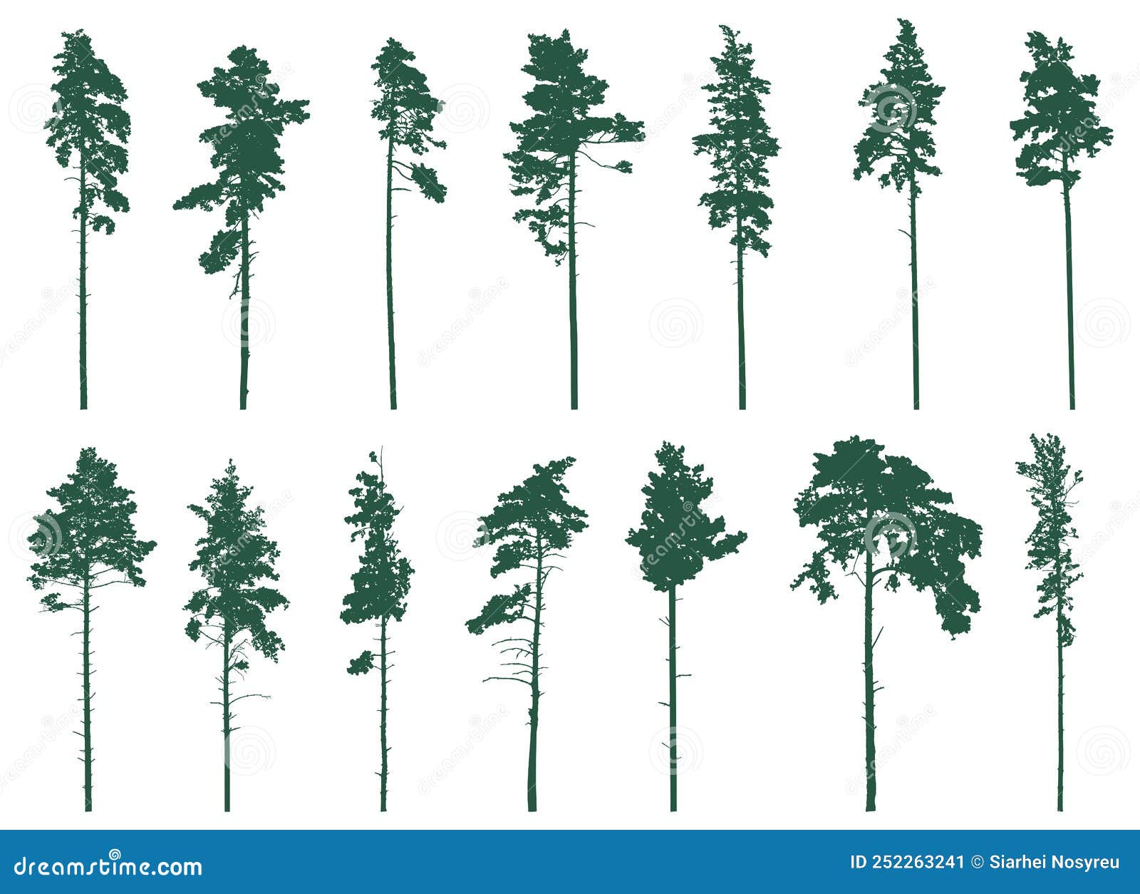 Pine Tree Silhouette, Set. Forest Coniferous Tree Stock Vector ...