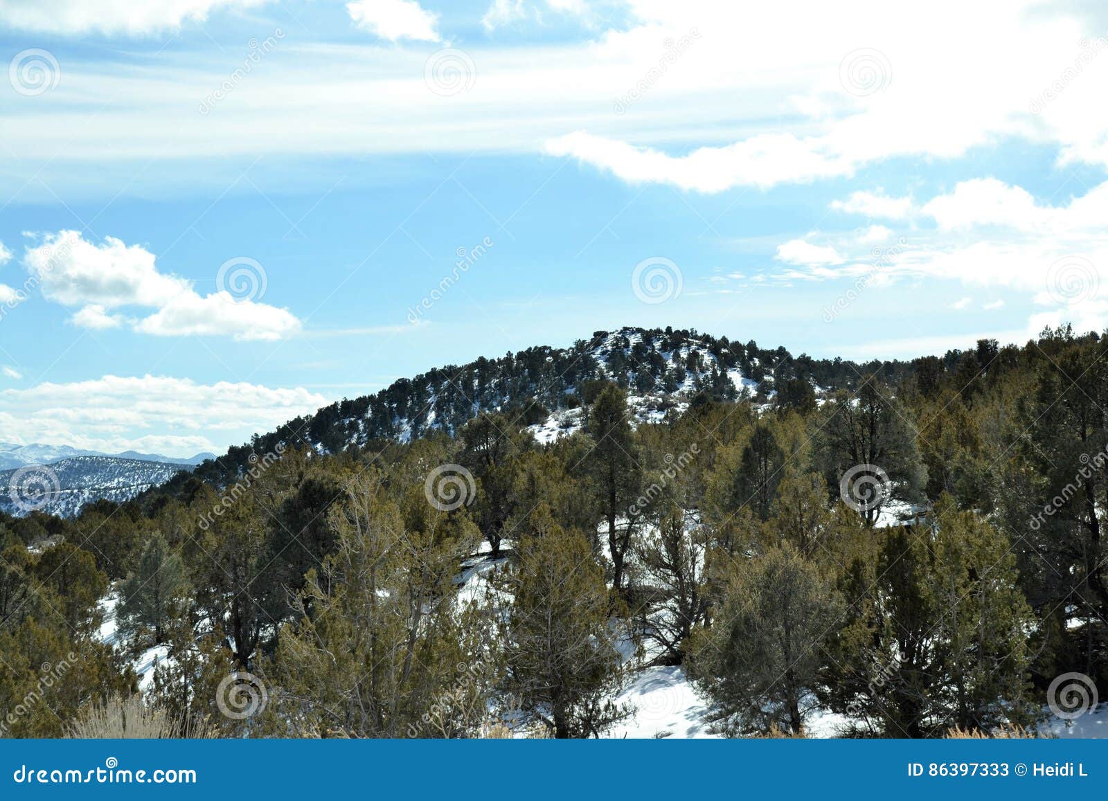 Pine Tree Snow Mountain stock image. Image of snow, summer - 86397333
