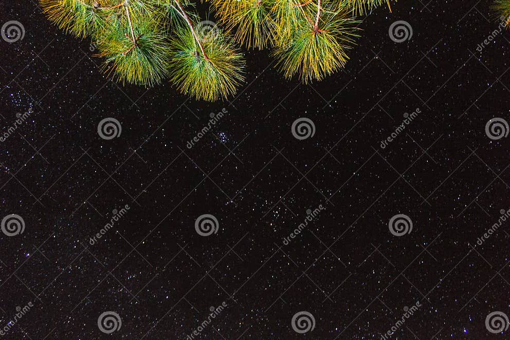 Pine tree with star in sky stock photo. Image of hiking - 81187684