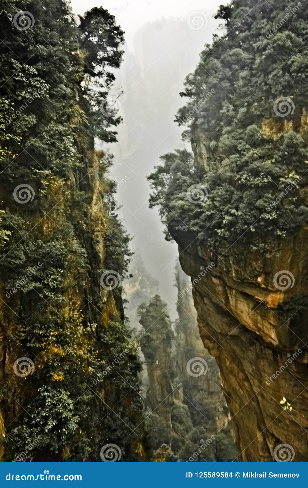 A Pine Tree on a Steep Rocky Cliff. Stock Photo - Image of asia, pine ...