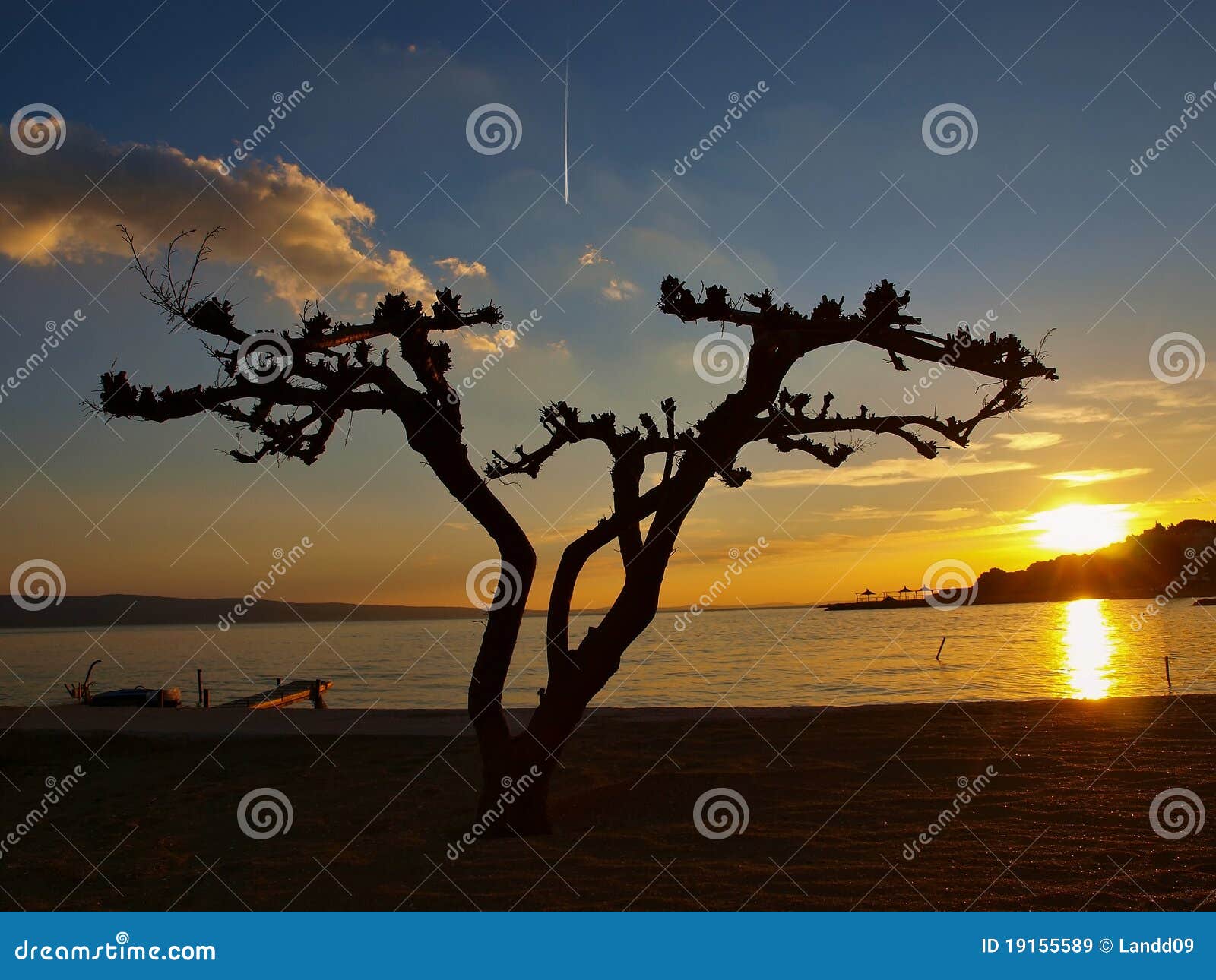 Tree Sunset, Colorful Sky With Sunset And Big Tree , Abstract ...