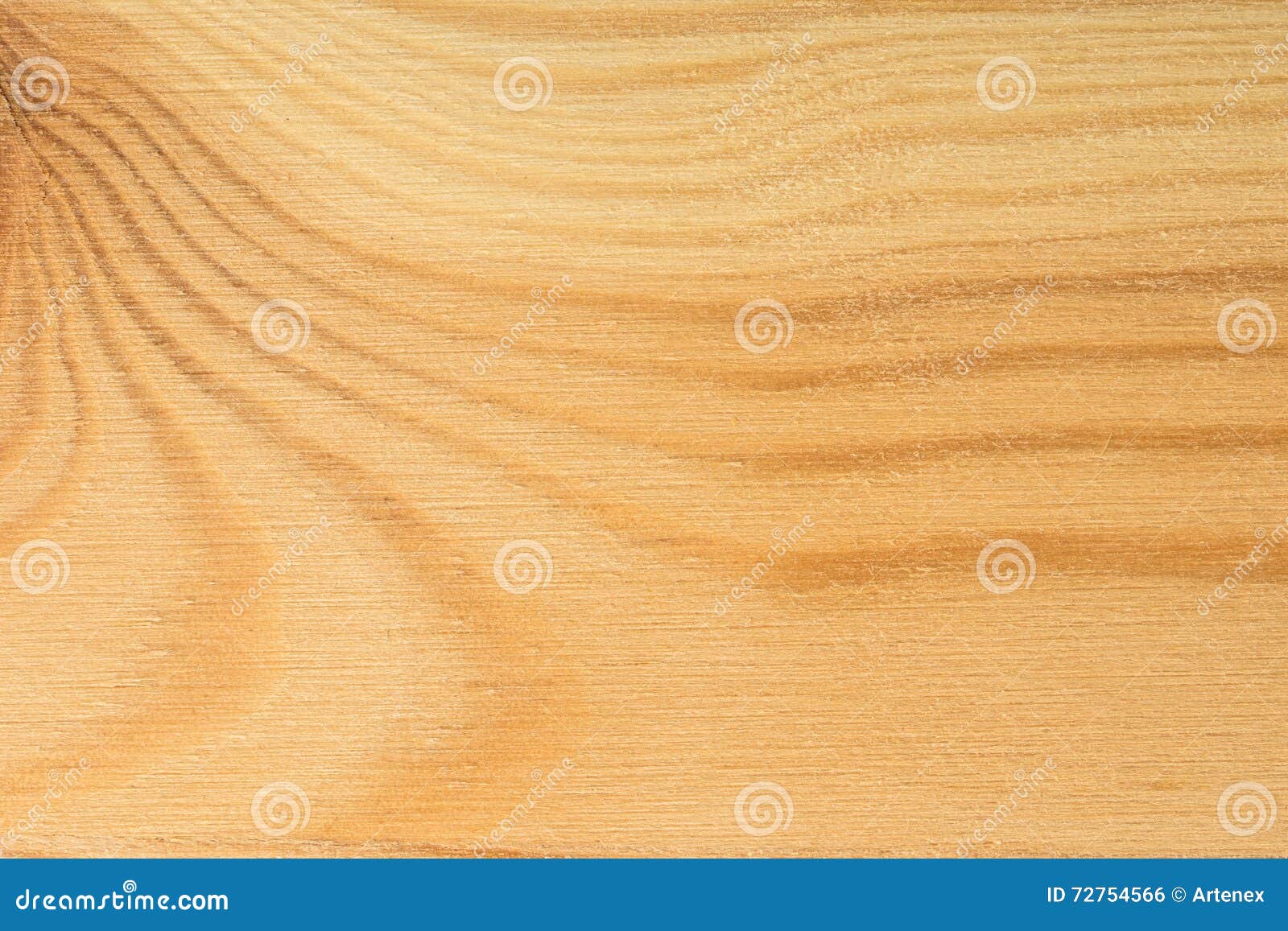 Pine Tree Texture. Light Wood, Natural Pattern Stock Photo - Image of ...
