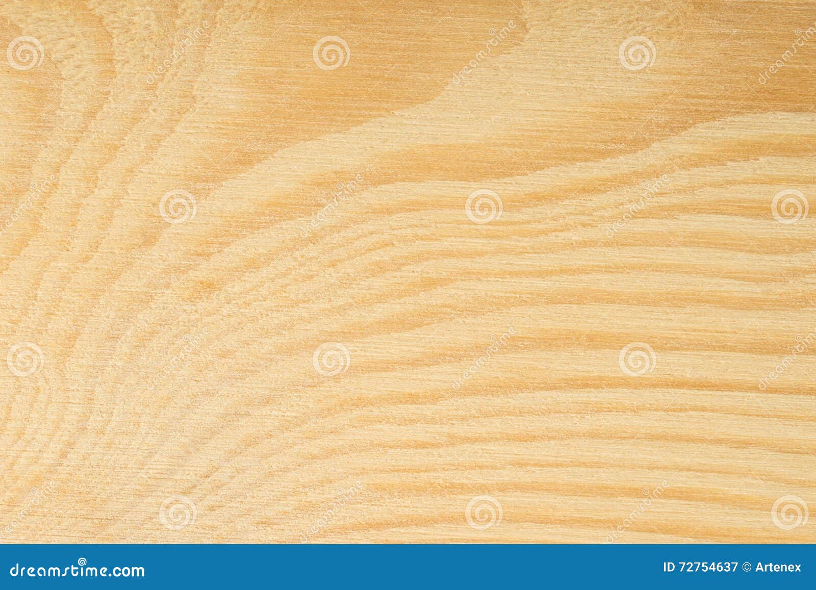 Pine Tree Texture. Light Wood, Natural Pattern Stock Image - Image of ...