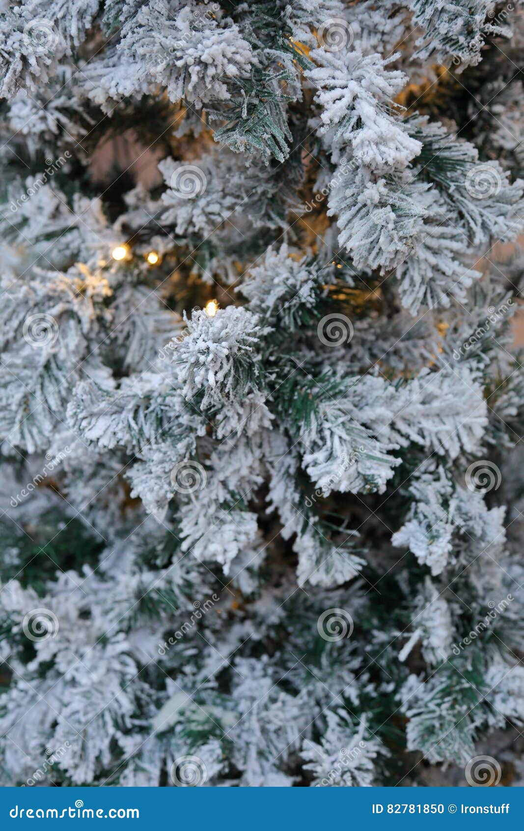 Pine tree texture stock photo. Image of fresh, nature - 82781850