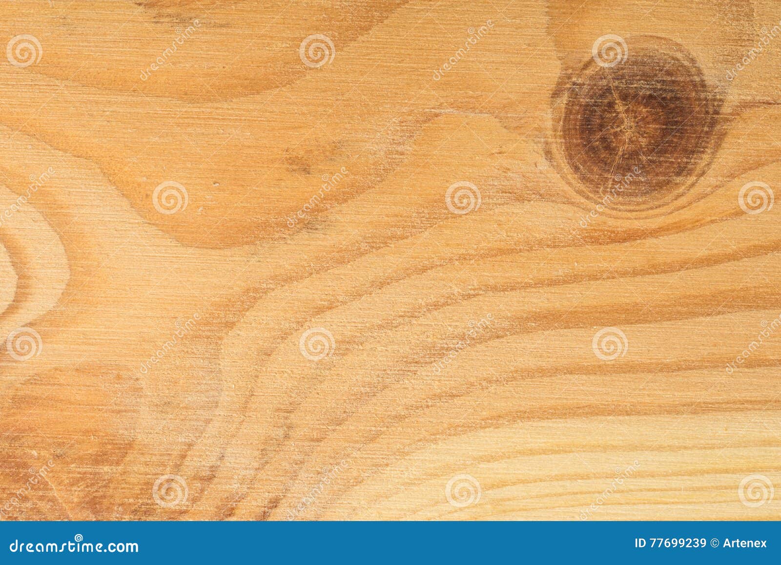 Pine Tree Texture. Wood Background, Light Natural Pattern Stock Image ...
