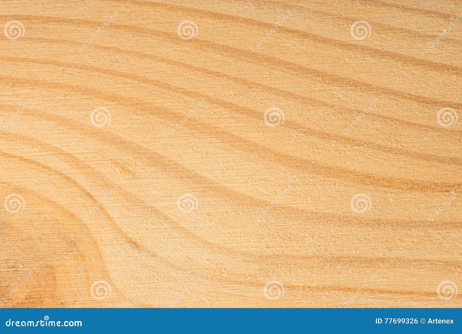 Pine Tree Texture. Wood Background, Light Natural Pattern Stock Photo ...