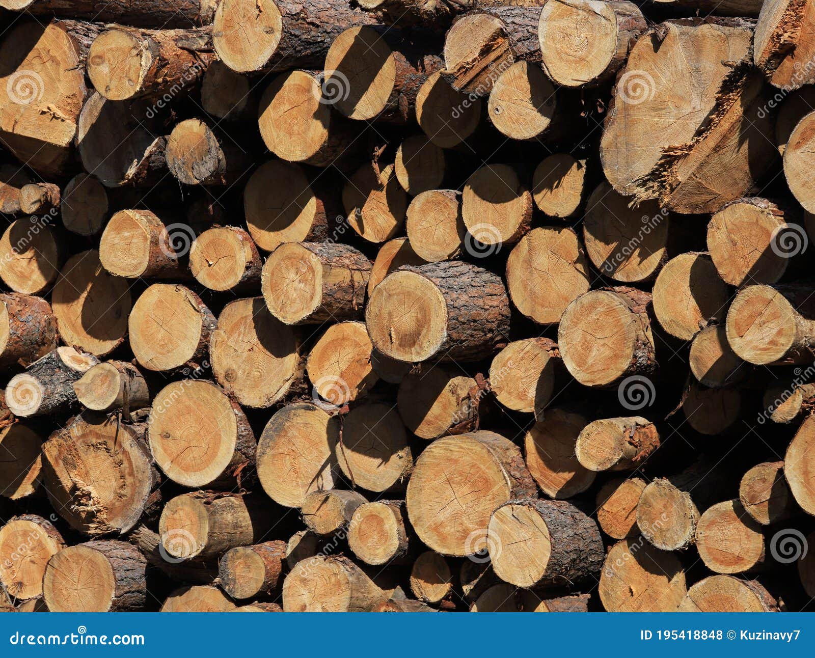 Pine-tree Timber Stack Logging Stock Photo - Image of material ...