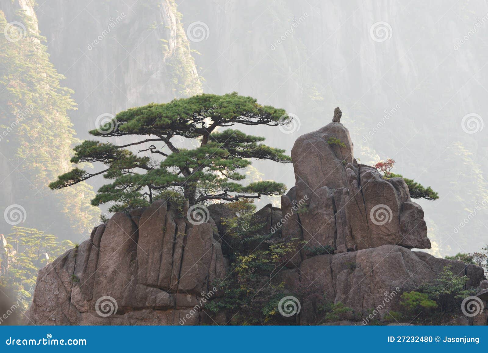 Pine Tree on Top of Mountain Stock Photo - Image of nature, rock: 27232480