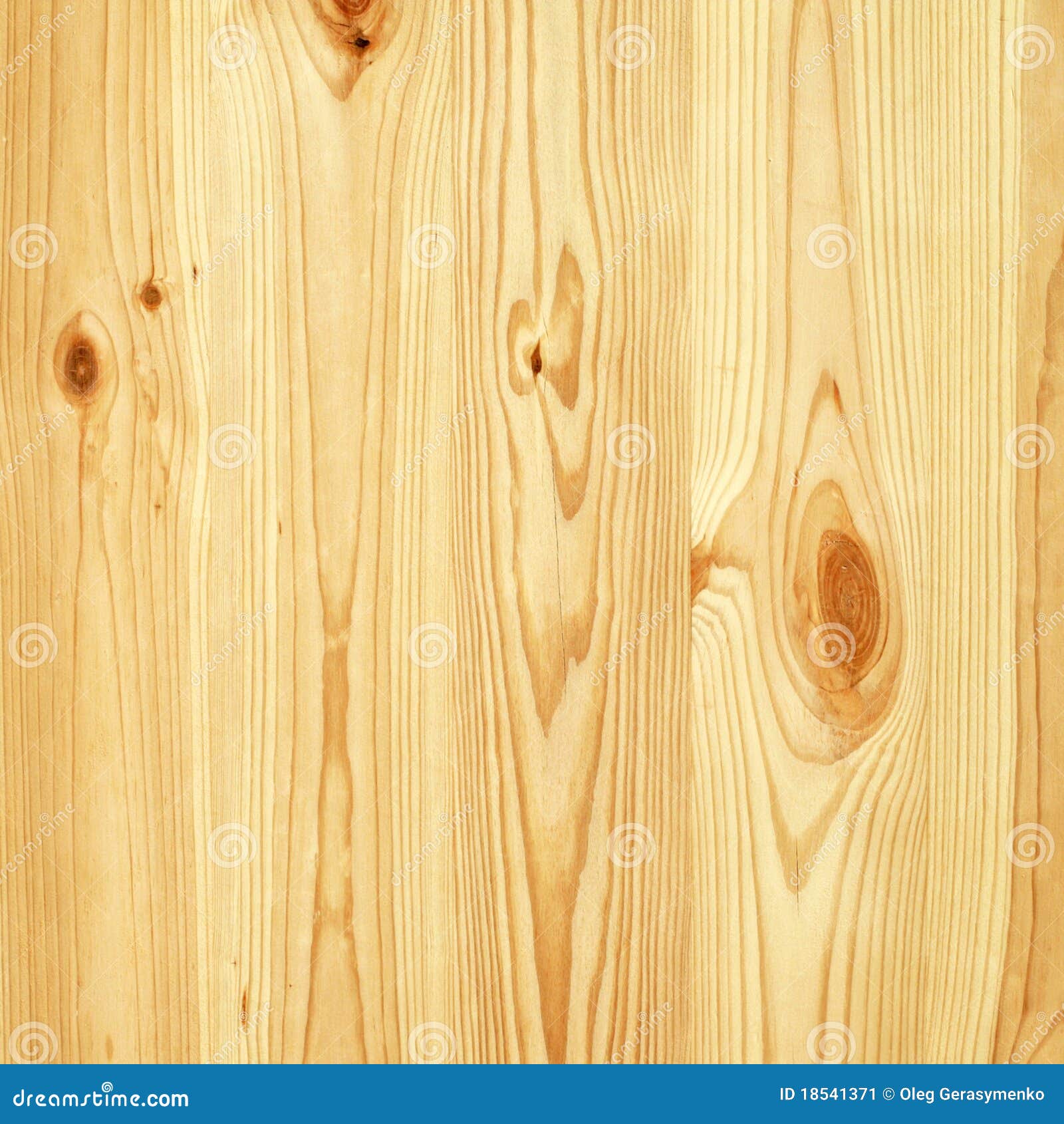 Pine Tree Wall Texture Stock Image - Image: 18541371