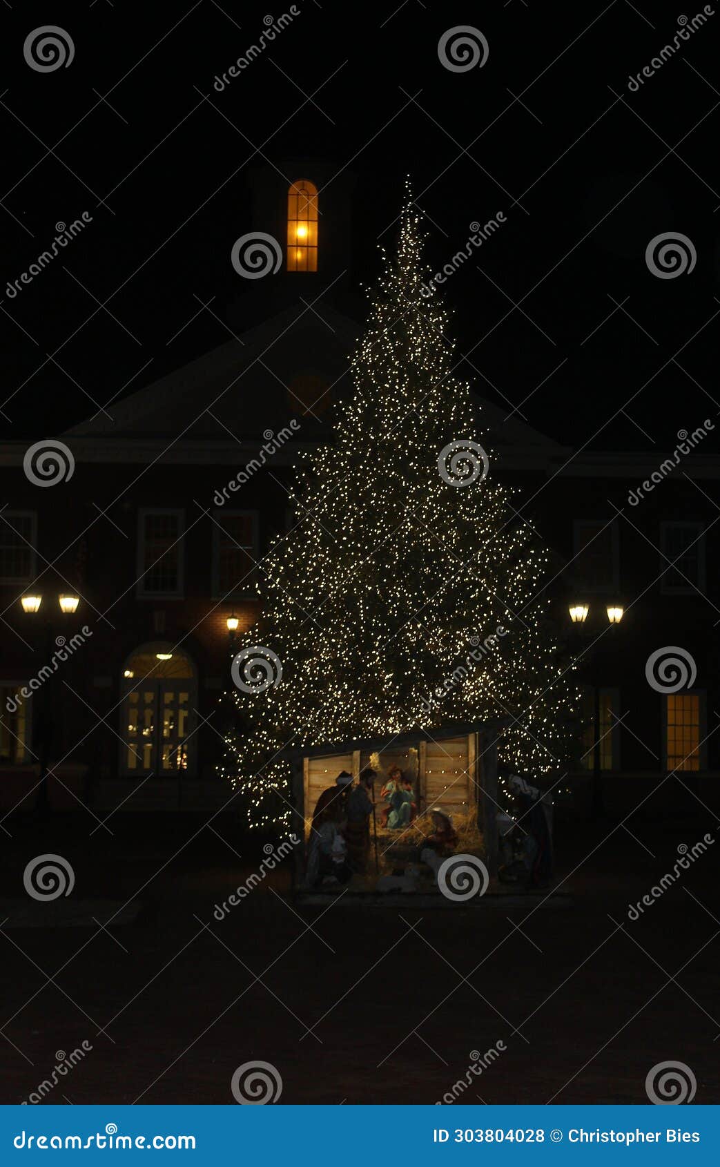 Pine Tree with White Lights and a Nativity Scene at Night Stock Photo ...