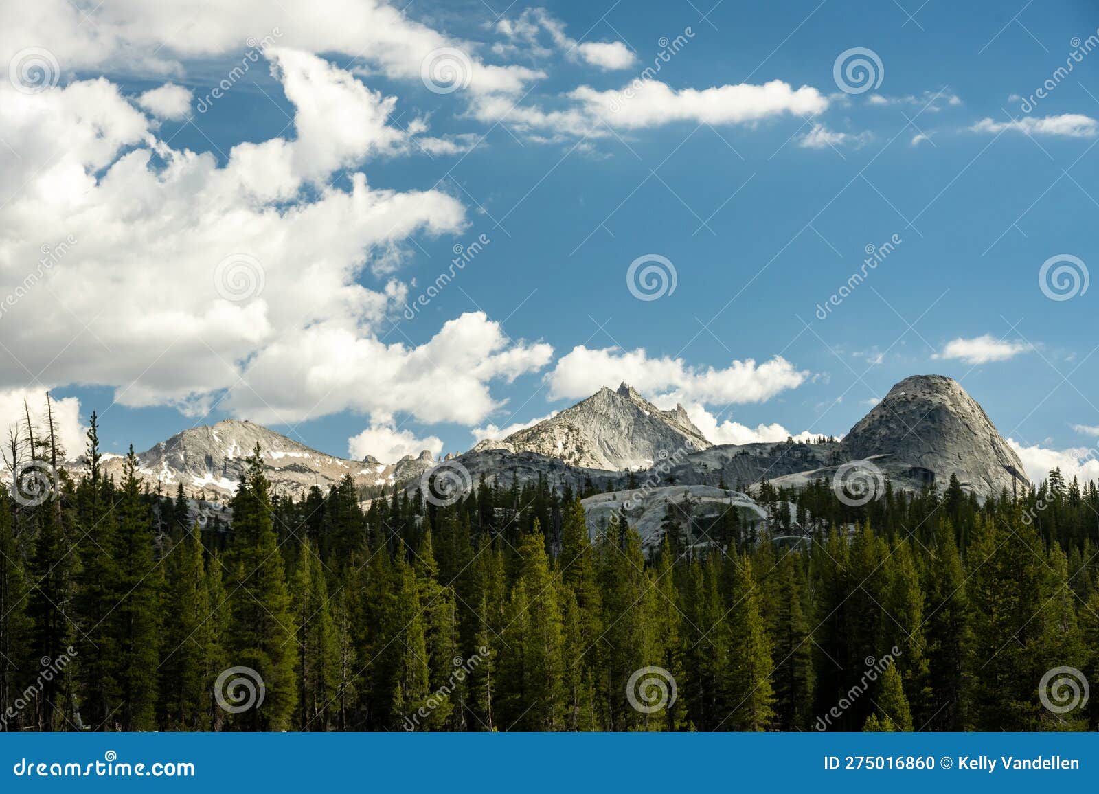 Pine Trees Below Granite Fairview Dome in Yosemite Stock Photo - Image ...