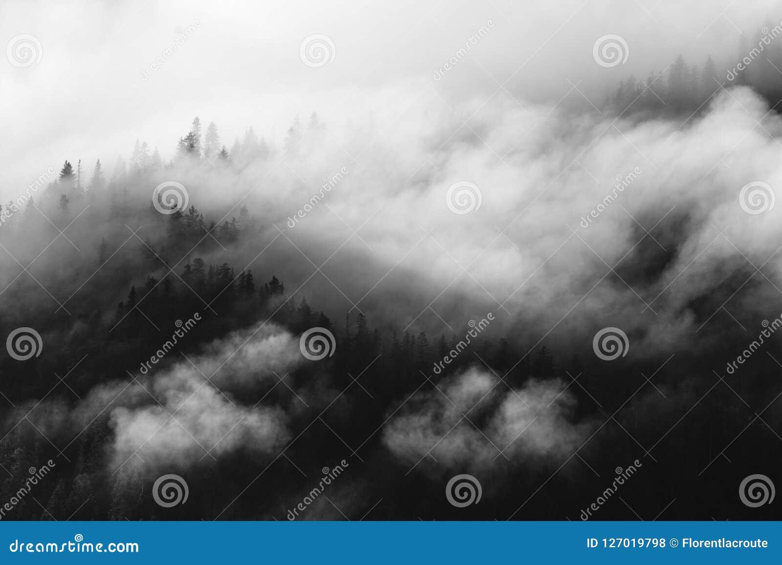 Through The Mist Stock Image | CartoonDealer.com #105211405