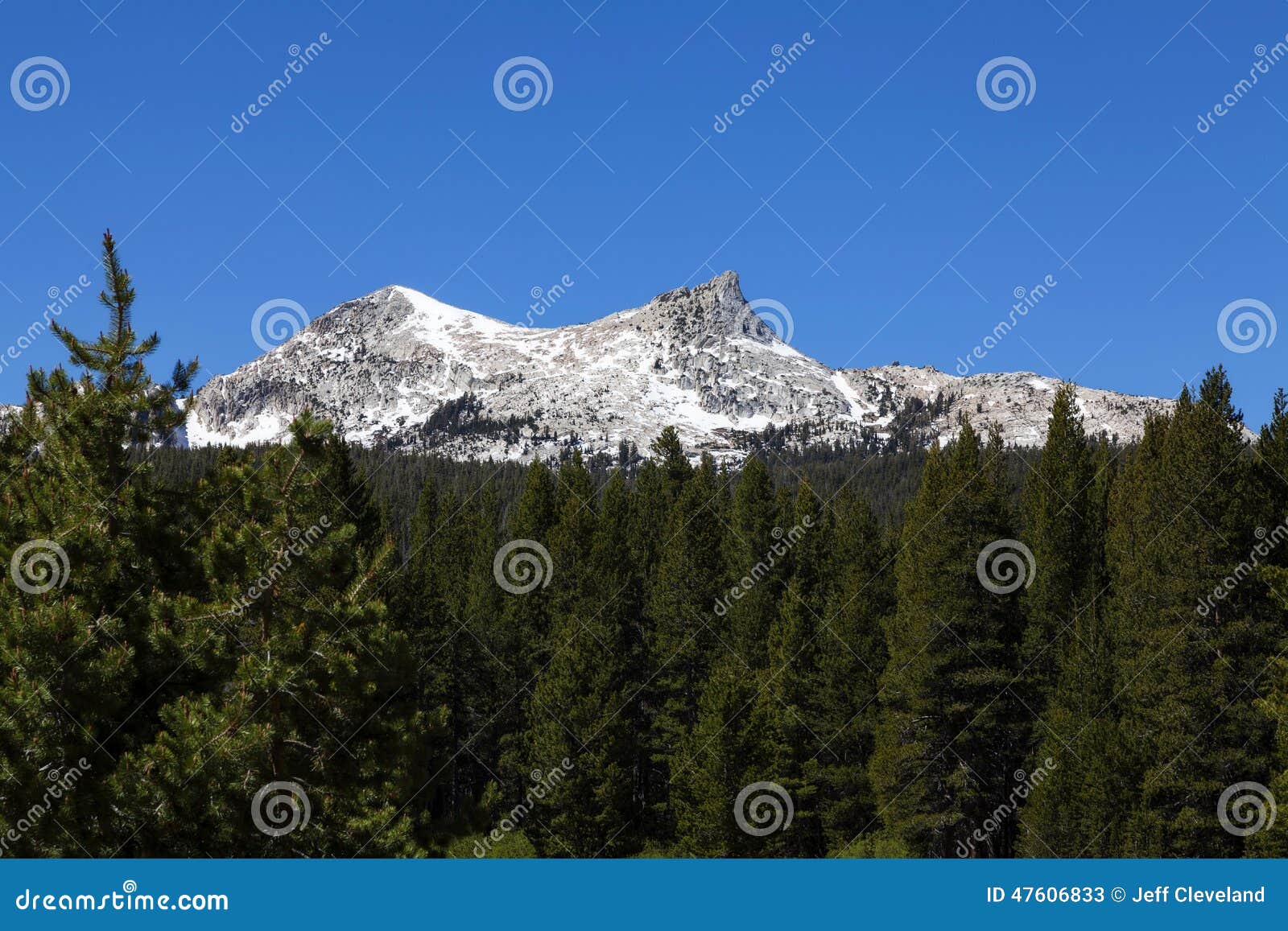 Pine Trees Foreground Unicorn Peak Blue Sky Stock Image - Image of ...