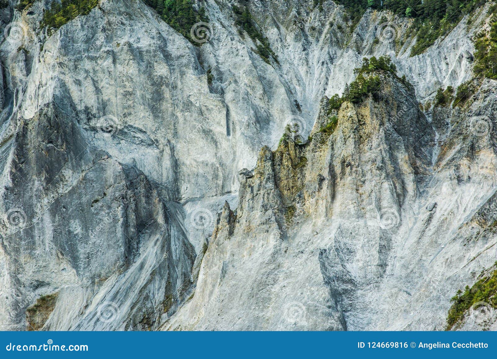 Pine Trees Growing on Dramatic and Rugged Rocky Mountains Cliffs Stock ...