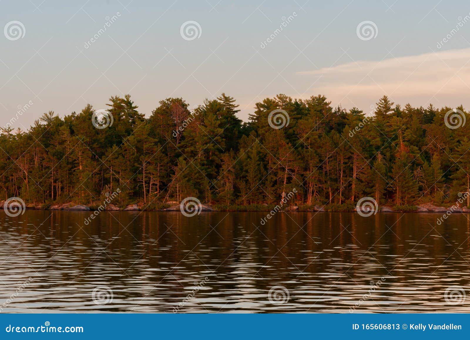 Pine Trees Line Shore of Lake Stock Image - Image of rainy, cairn ...