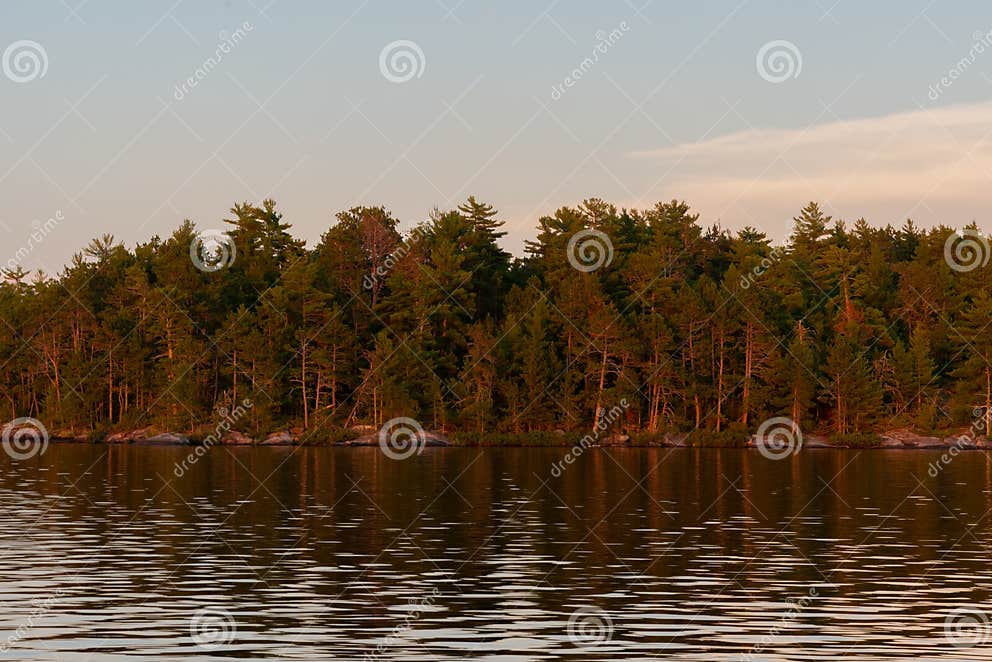 Pine Trees Line Shore of Lake Stock Image - Image of rainy, cairn ...