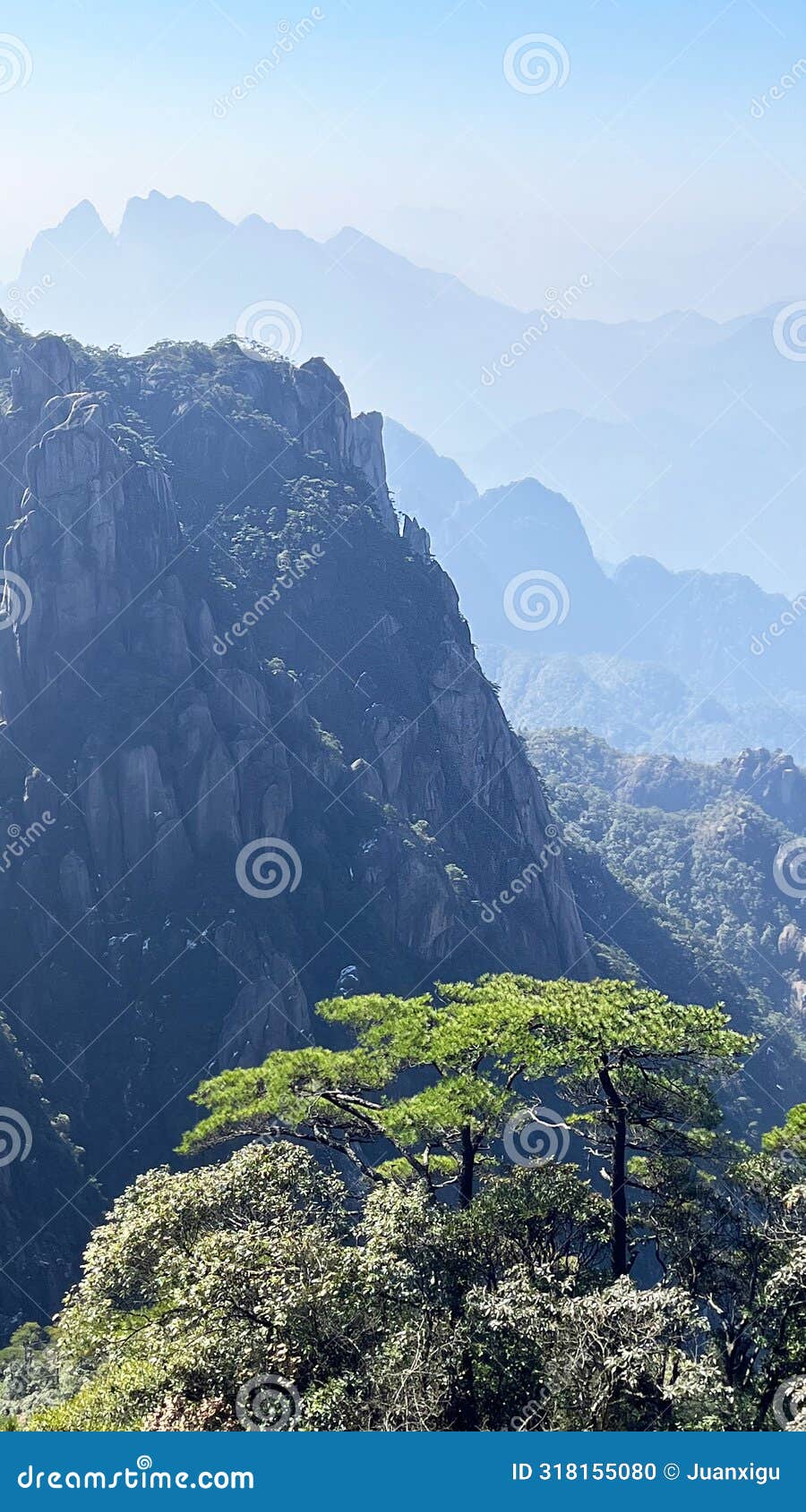 Pine Trees with Mountain Landscape View and Blue Sky Tier upon Tier ...