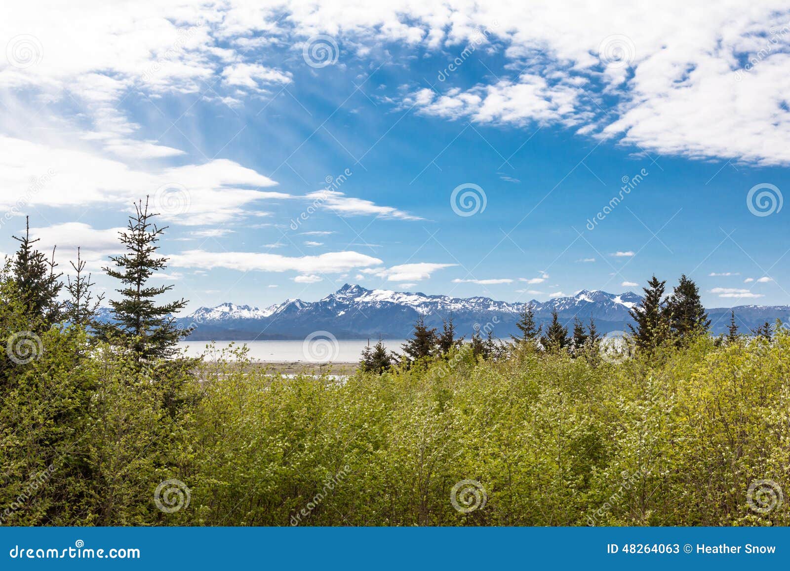 Pine Trees and Mountains stock image. Image of rays, nature - 48264063