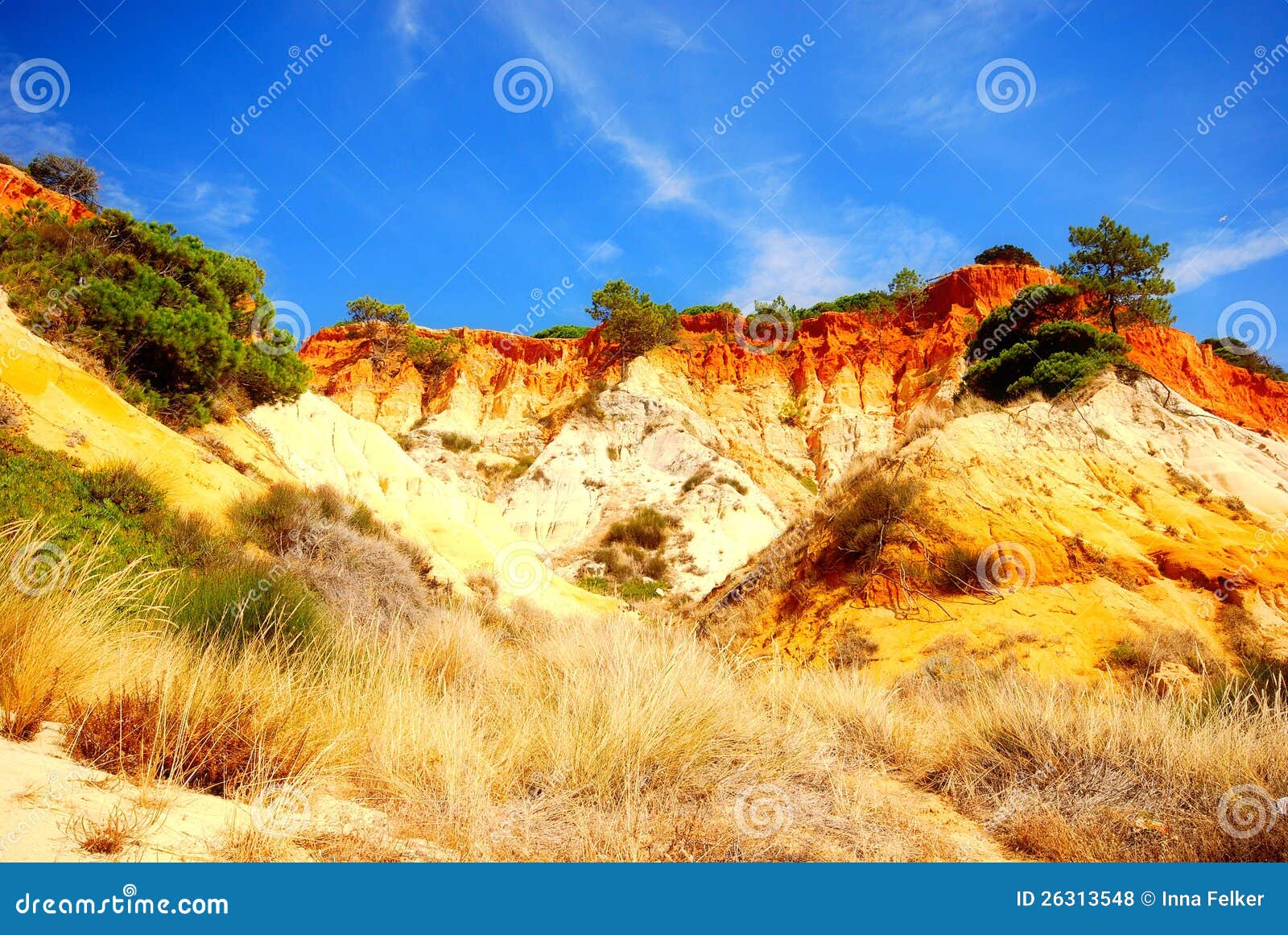 Pine Trees and Red Cliffs(Algarve,Portugal) Stock Photo - Image of ...