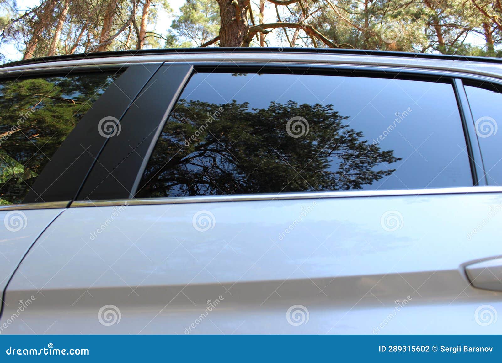 Car Door Window with Reflections of Forest Trees on it Stock Photo ...