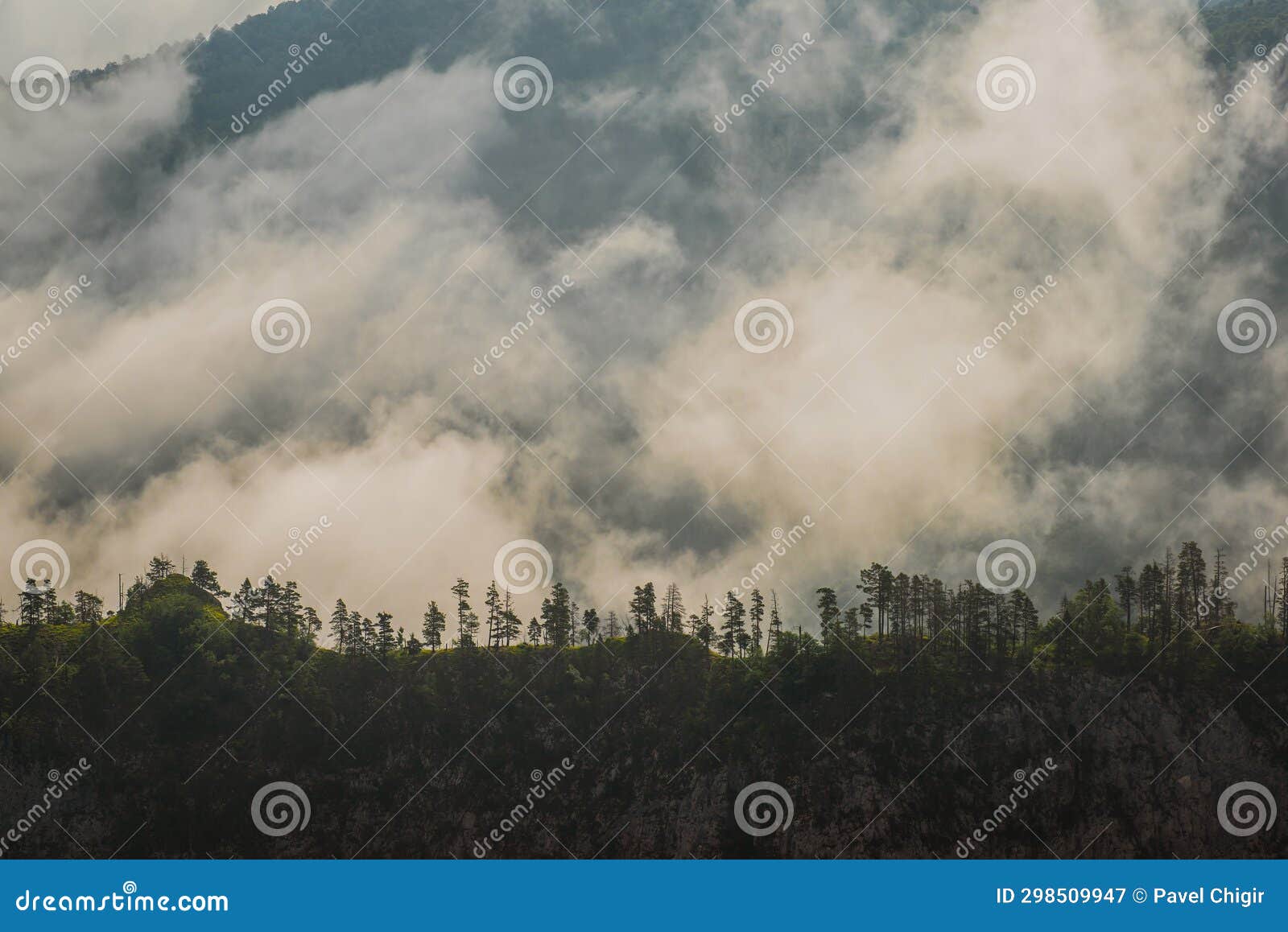 Pine Trees on a Rock among Clouds at Dawn Stock Image - Image of forest ...