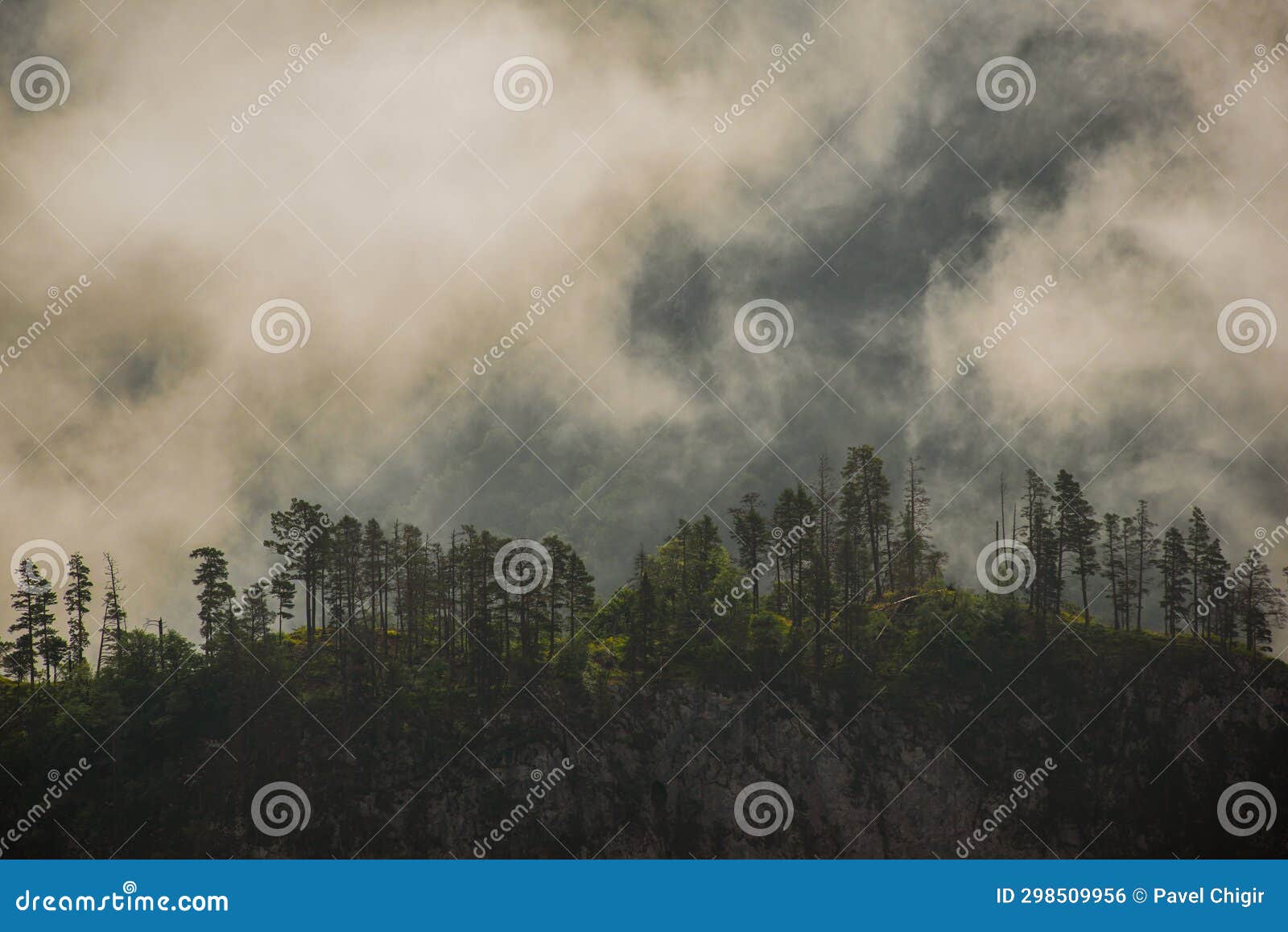 Pine Trees on a Rock among Clouds at Dawn Stock Photo - Image of ...