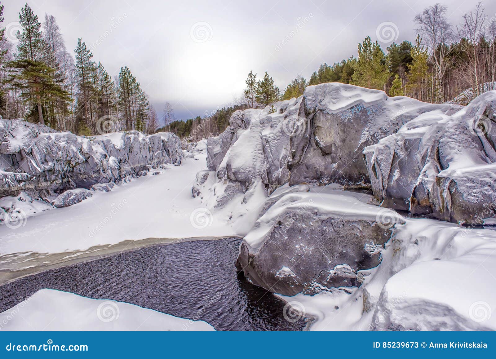 Pine Trees and Rocks in Winter Stock Image - Image of flagstaff ...