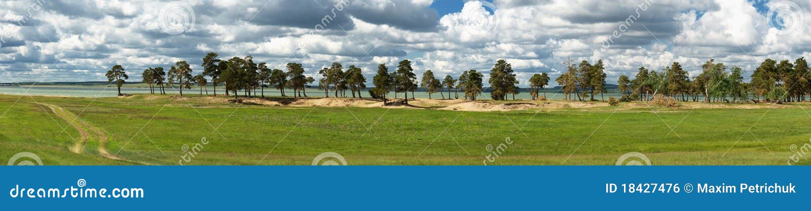 Pine Trees in a Row on the River Stock Photo - Image of horizontal ...