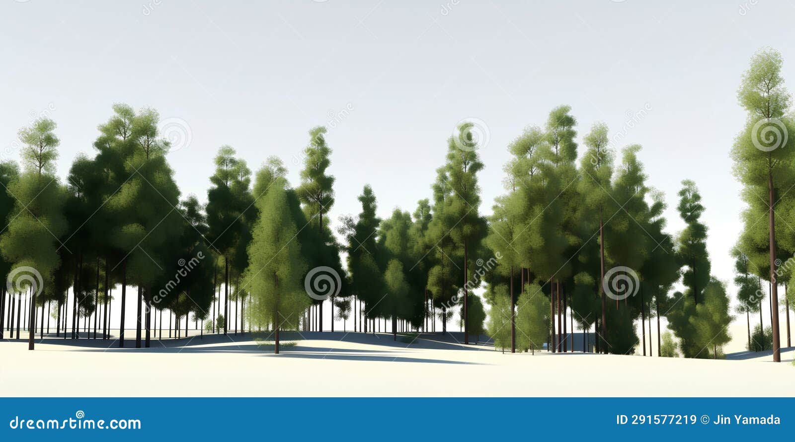 Pine Trees in a Row on a White Background. 3d Render Stock Illustration ...