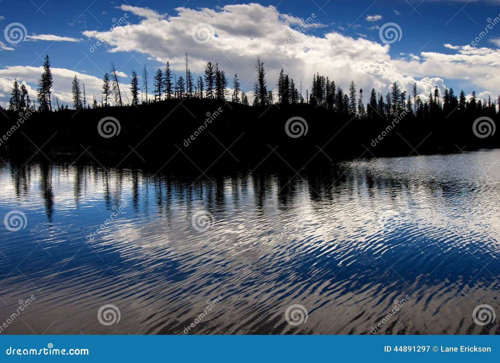 Pine Trees Silhouetted in River Lake Stock Image - Image of calm ...