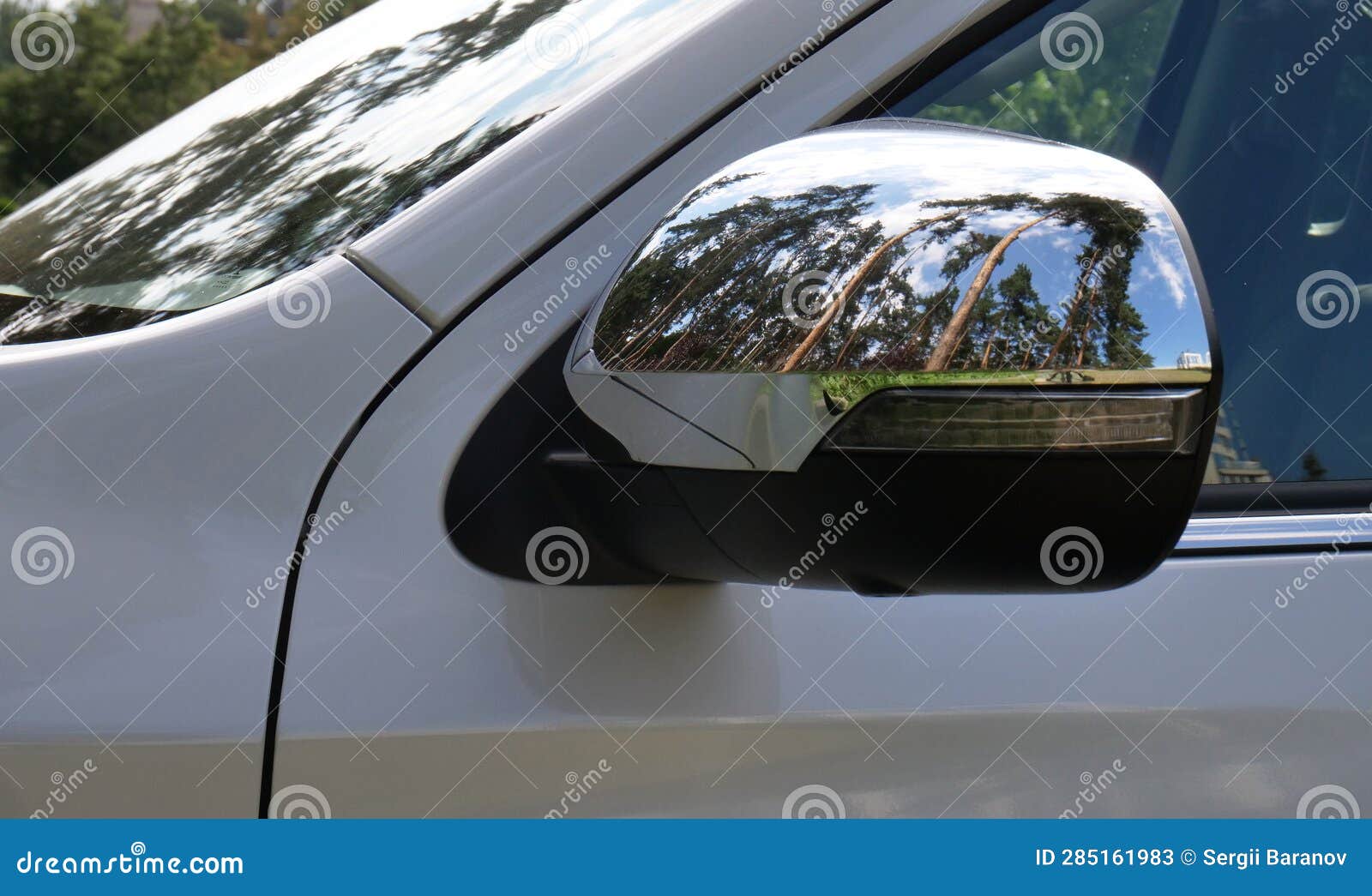 Pine Trees are Visible in the Distorted Reflection of a Chromed Car ...