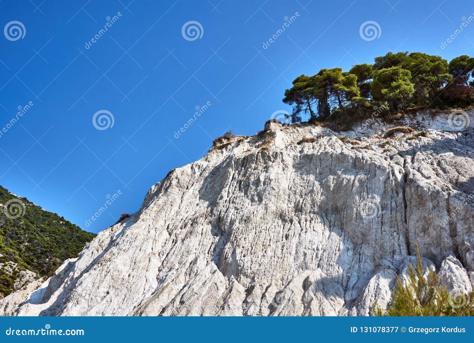 Pine Trees on a White Cliff Stock Image - Image of pine, greek: 131078377
