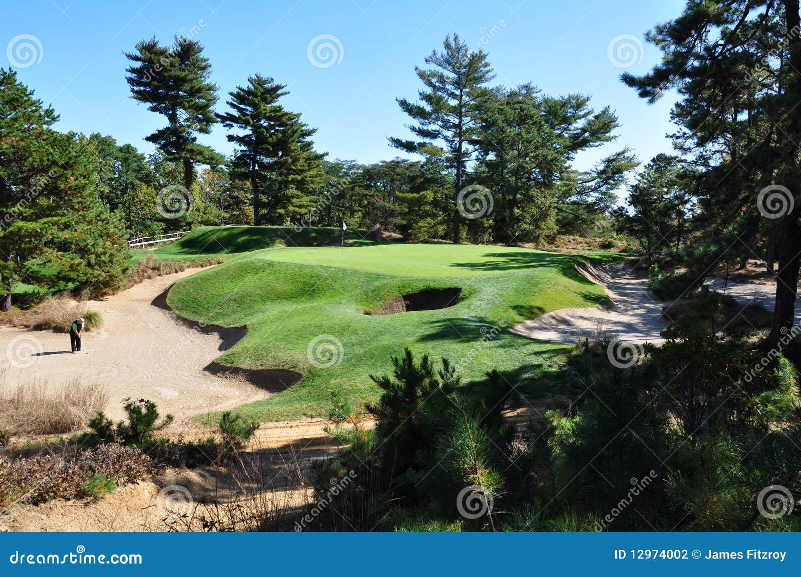 Pine Valley challenge stock photo. Image of escape, sports - 12974002