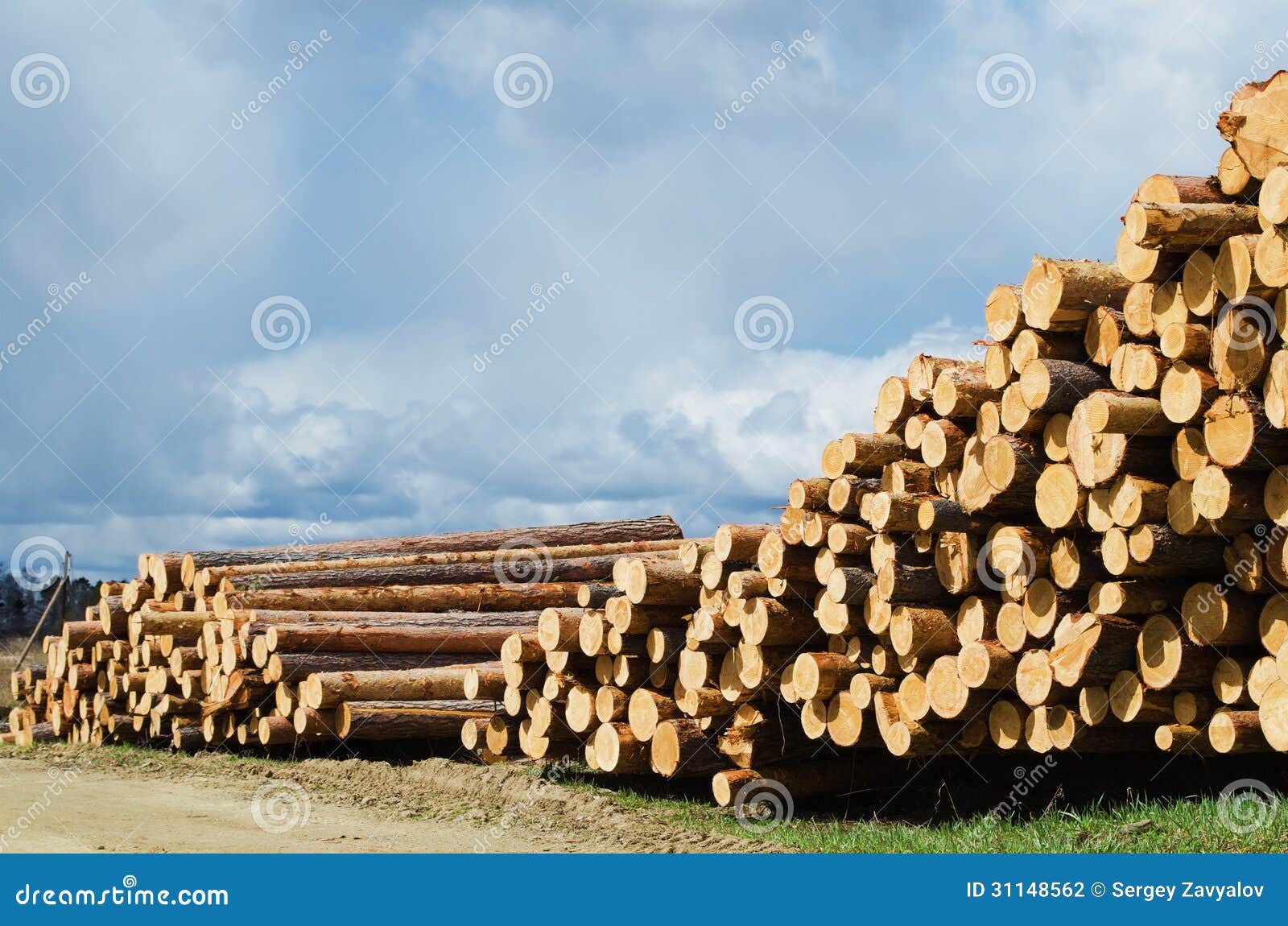 Pine whole section timbers stock photo. Image of stack - 31148562