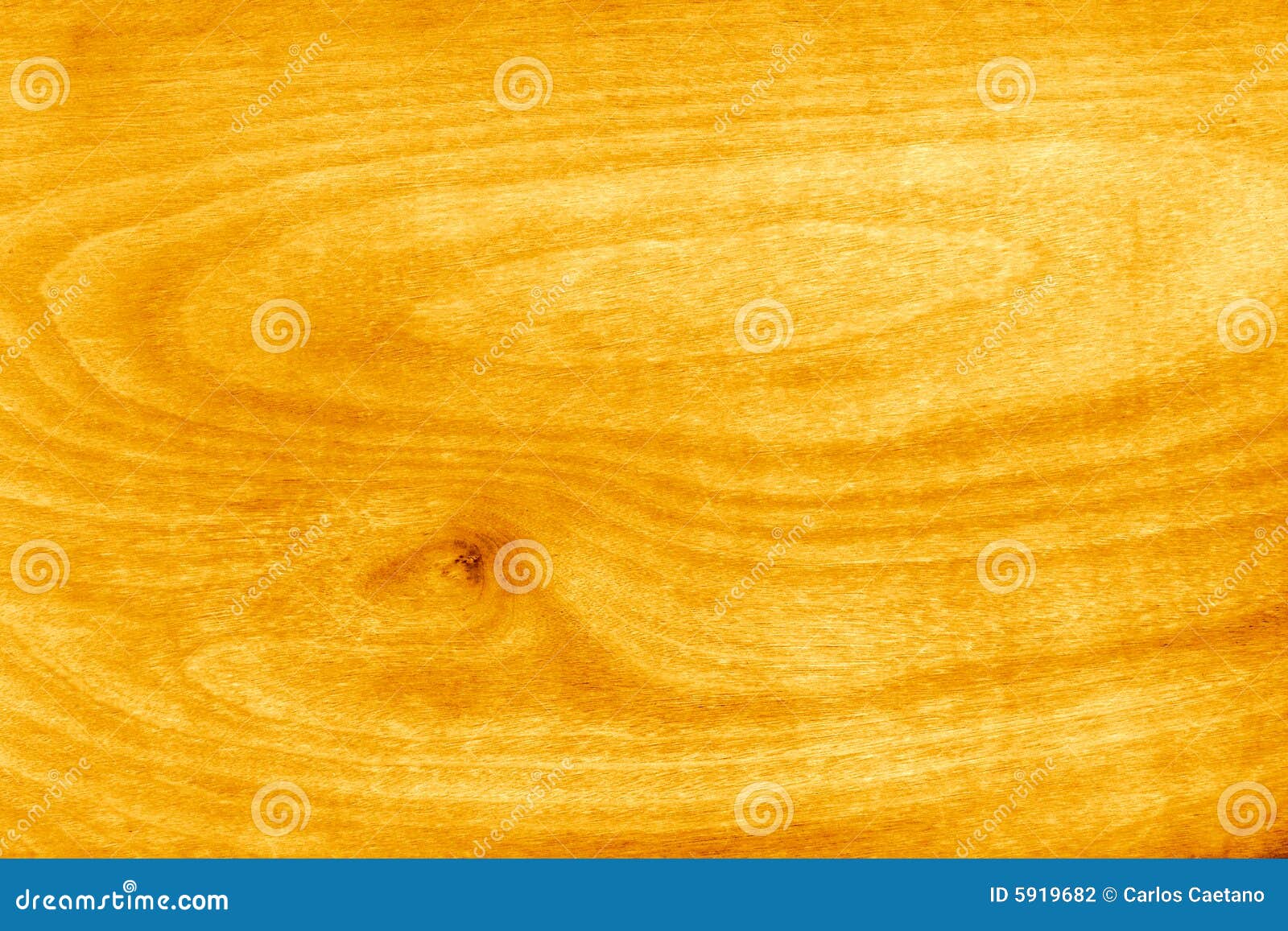 Pine Wood stock photo. Image of parquet, parquetry, detail - 5919682