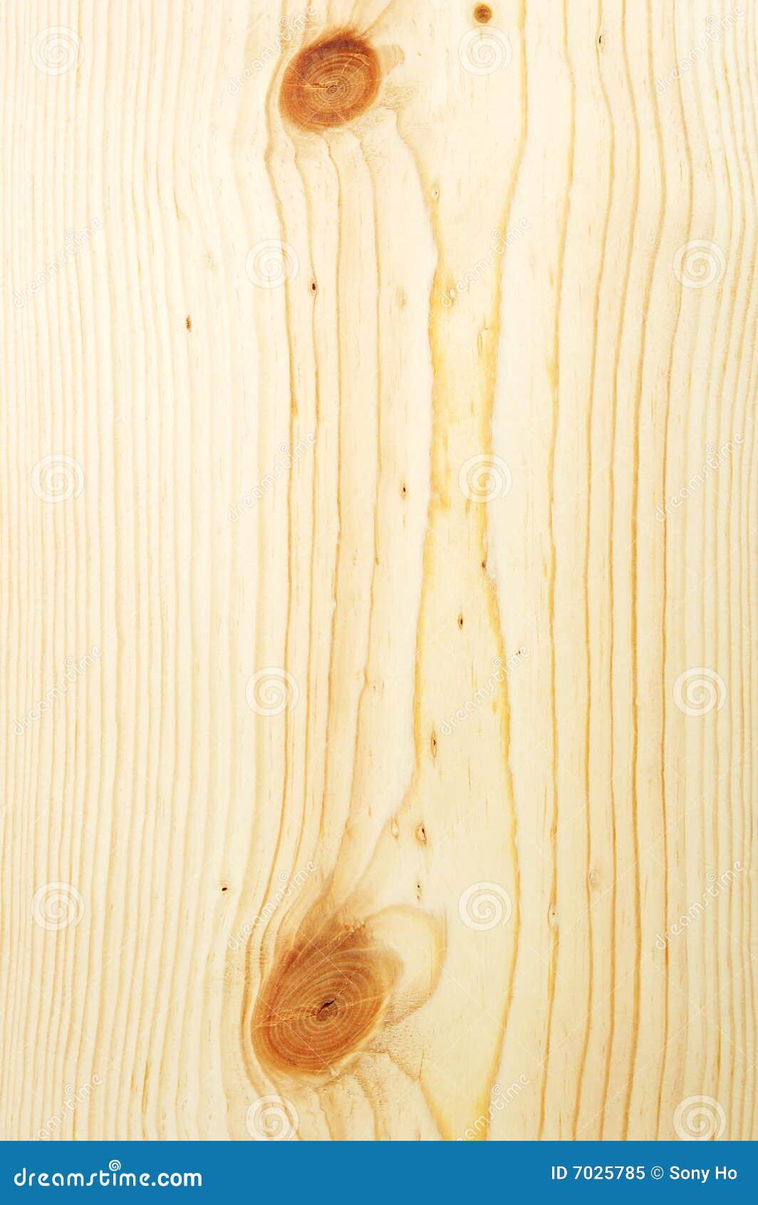 Pine wood stock image. Image of natural, lumber, covering - 7025785