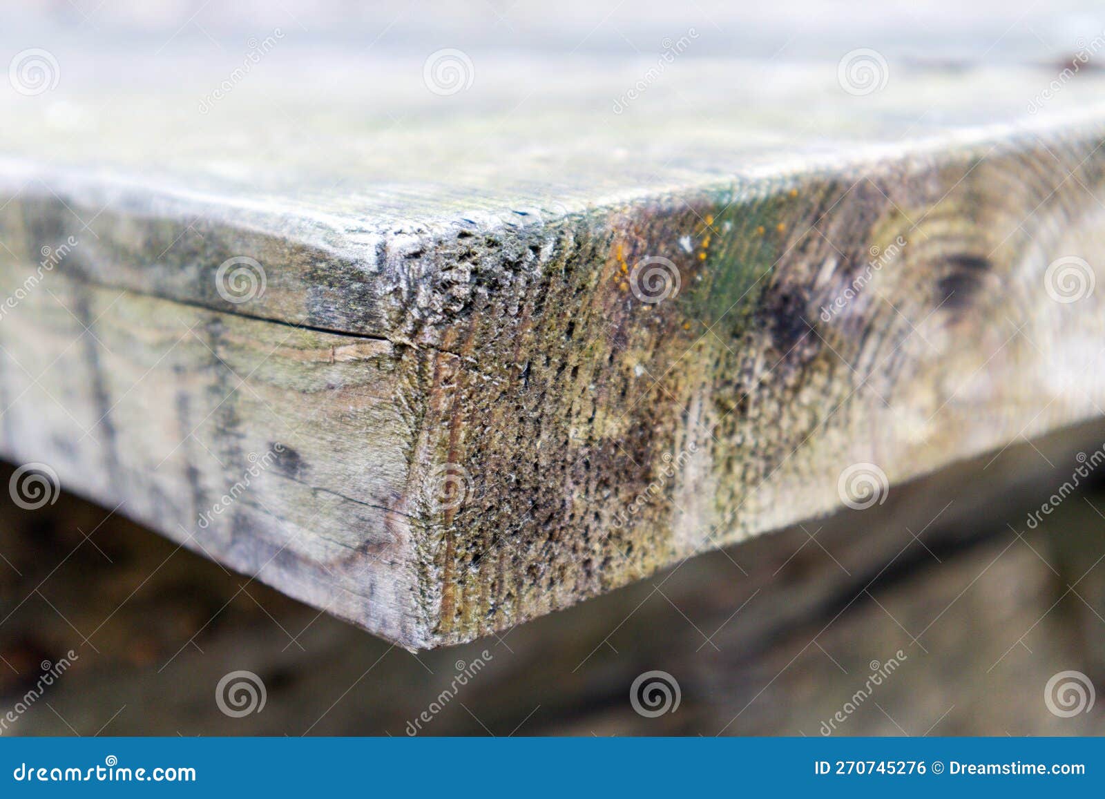 Pine Wood Board with Wood Structure in Green Weathered Wood Color Stock ...