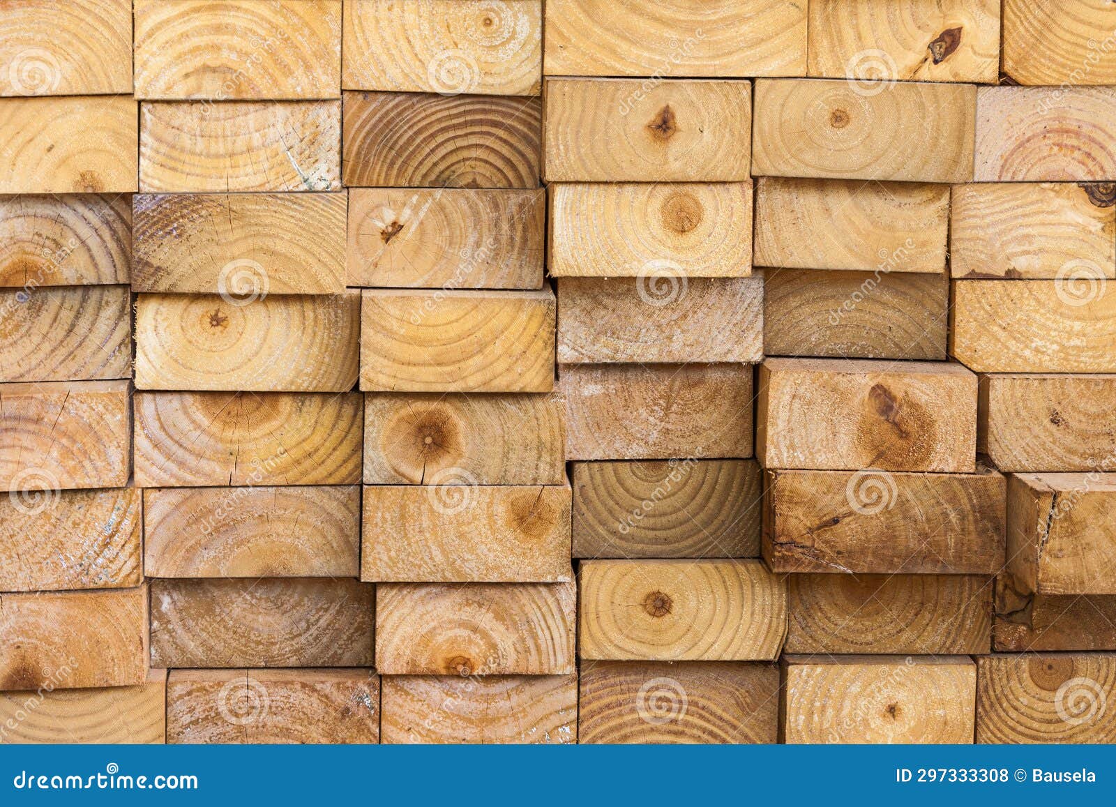 Pine planks in a sawmill. stock photo. Image of construction - 297333308