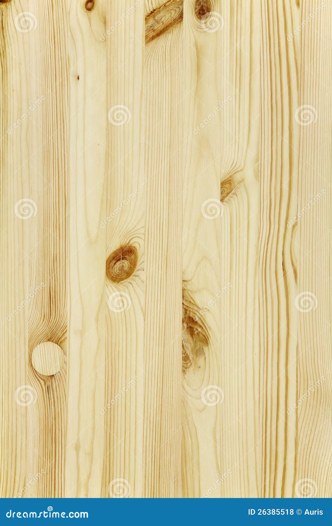Pine Wood Texture Stock Photography | CartoonDealer.com #26385518