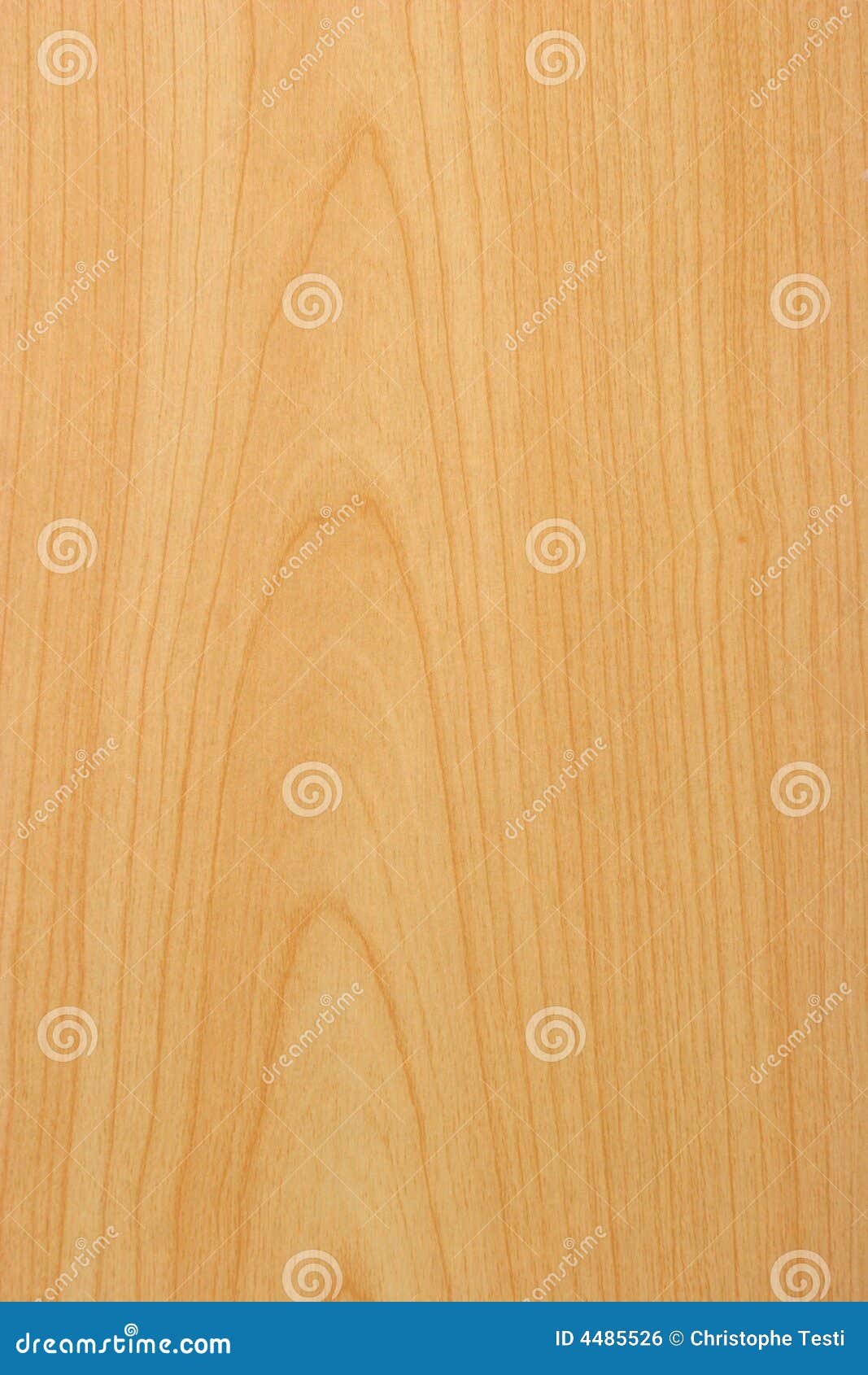 Pine Wood Texture Royalty-Free Stock Image | CartoonDealer.com #4485526