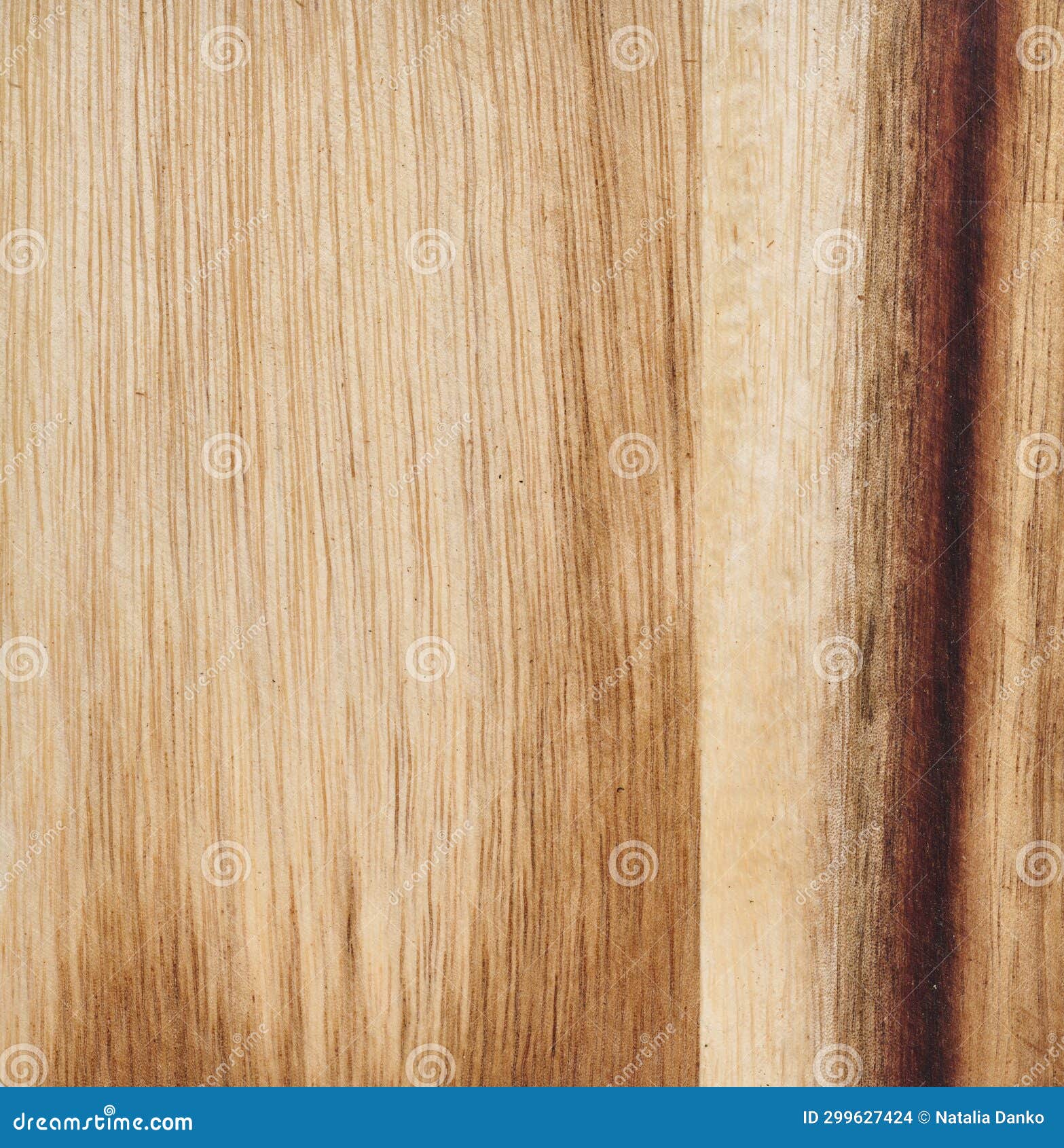 Pine Wood Texture, Full Frame Stock Photo - Image of board, panel ...