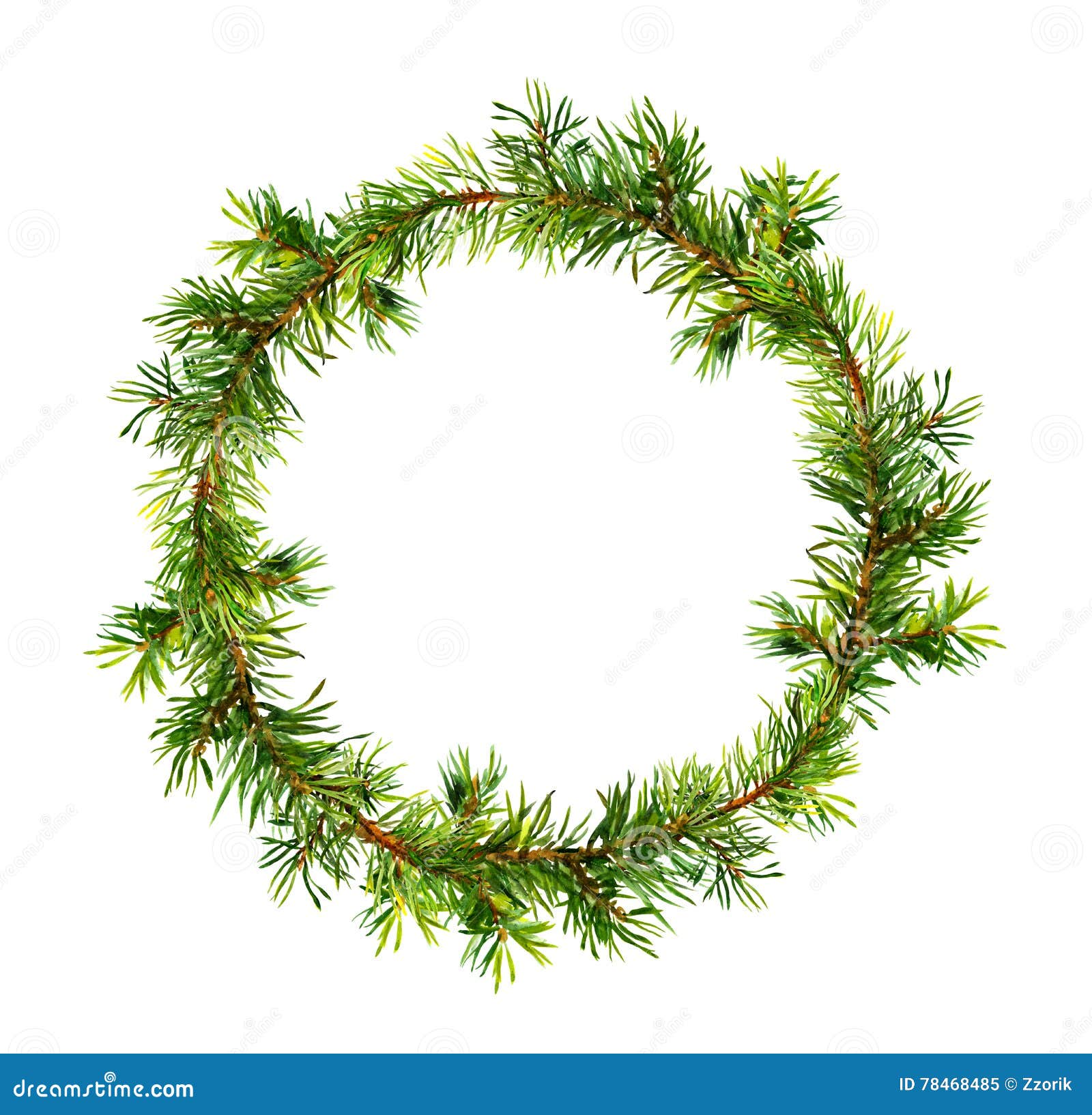 Pine Wreath - Spruce Tree Branches. Watercolor Stock Image - Image of ...