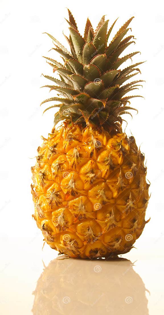 Pineapple stock image. Image of neutral, ripe, pineapple - 1016639