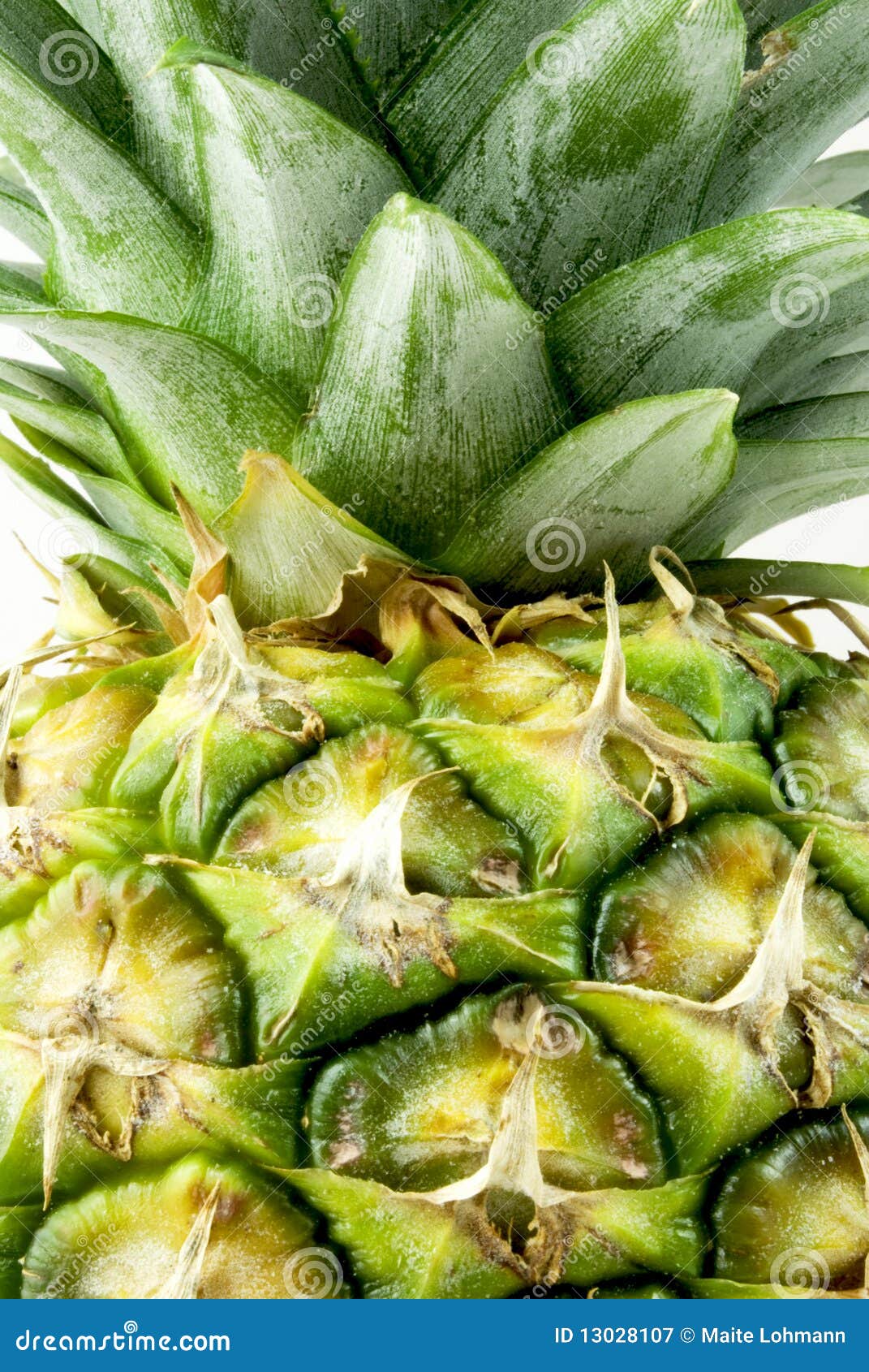 Pineapple stock image. Image of pineapple, healthy, juicy - 13028107