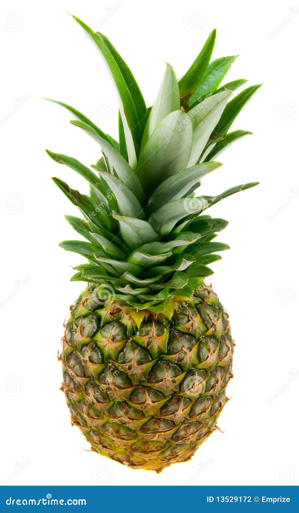 Pineapple stock photo. Image of agriculture, isolated - 13529172