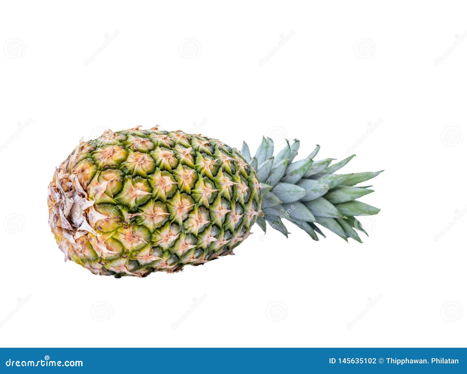 One Pineapple Isolated on White Background Stock Photo - Image of ...