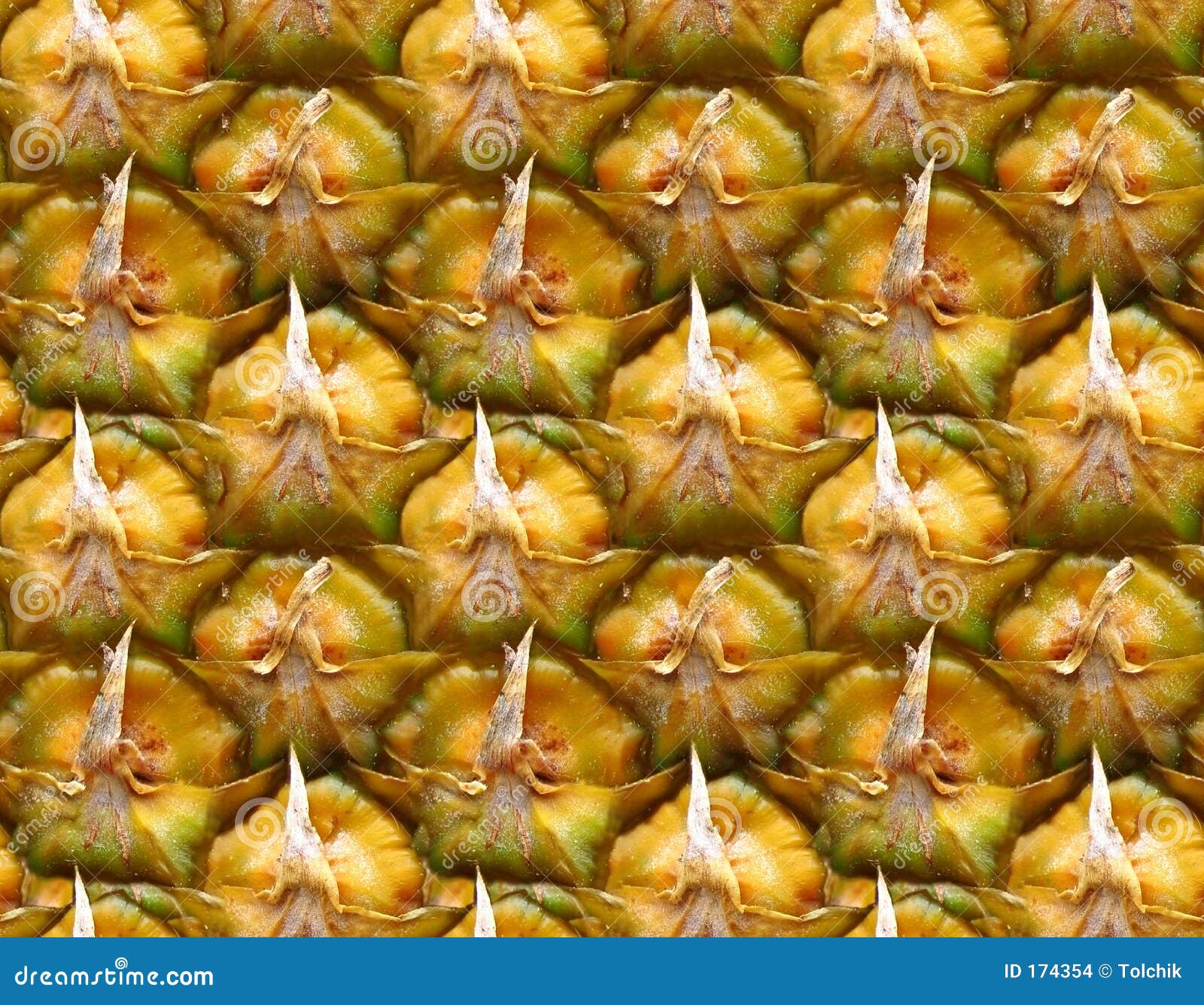 Pineapple stock photo. Image of structure, tropics, texture - 174354