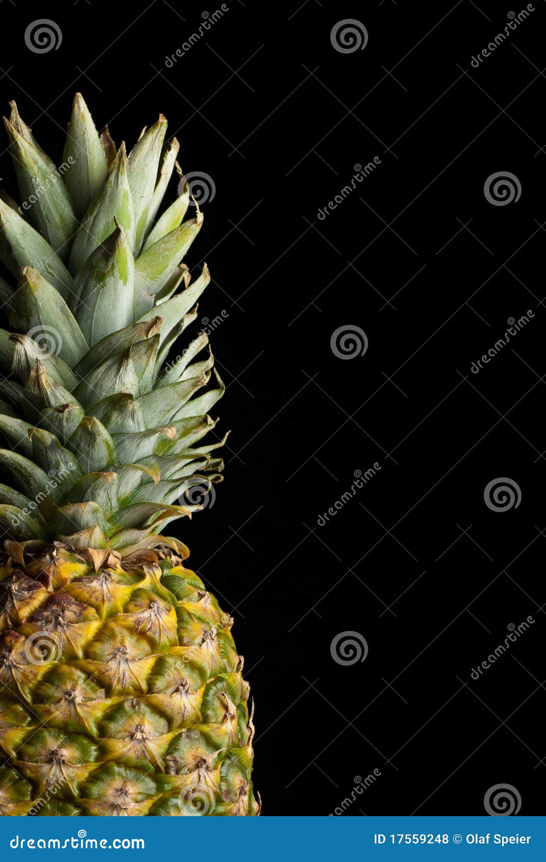 Pineapple stock photo. Image of juicy, healthy, rough - 17559248